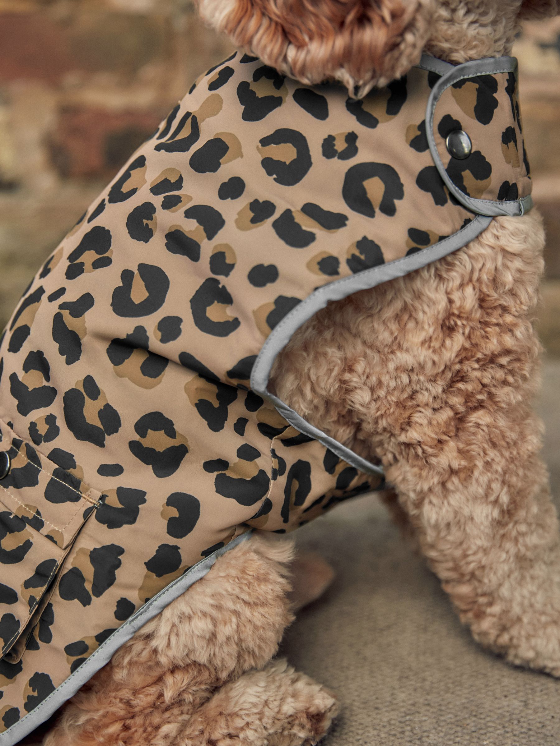 Buy Leopard Print Waterproof Jacket from the Next UK online shop