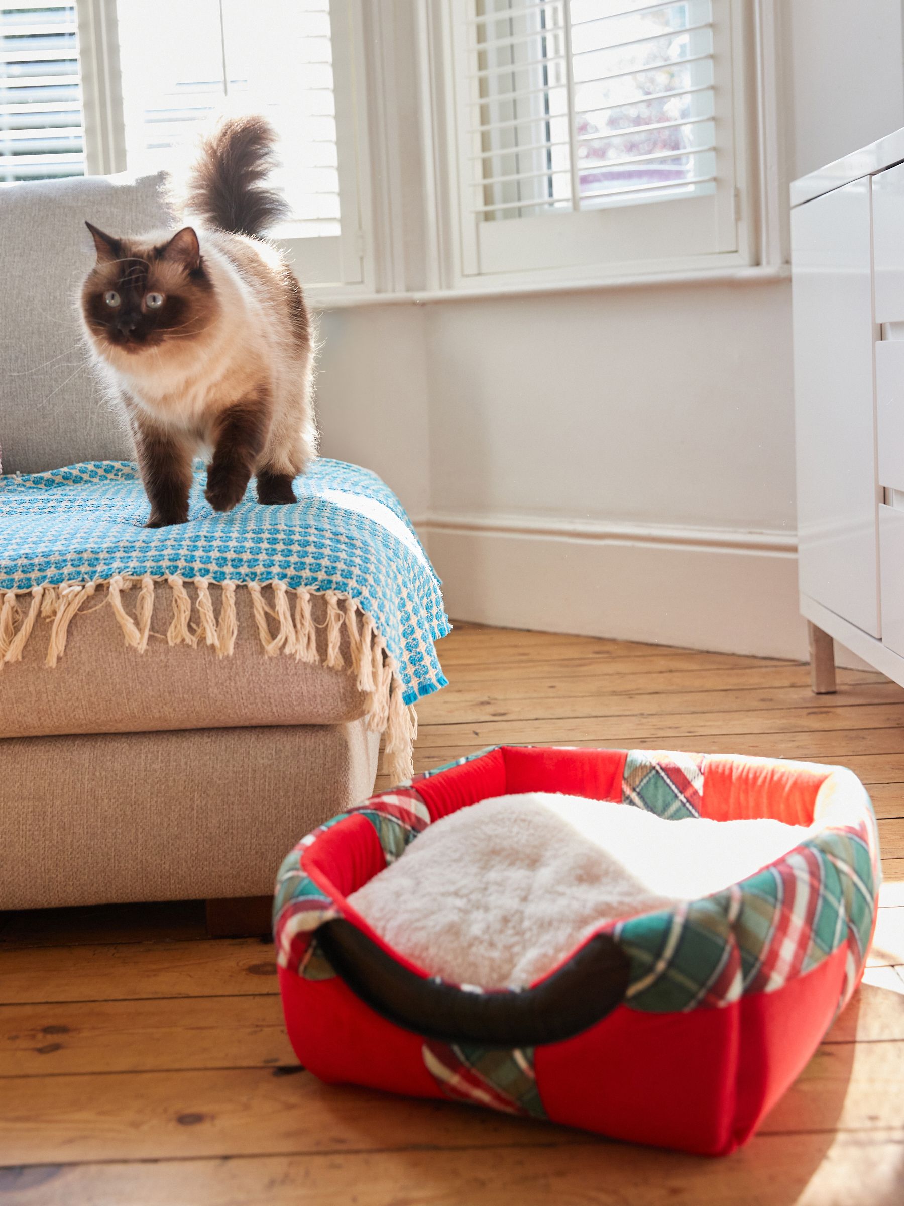 Buy Red Present Cat Bed from the Next UK online shop