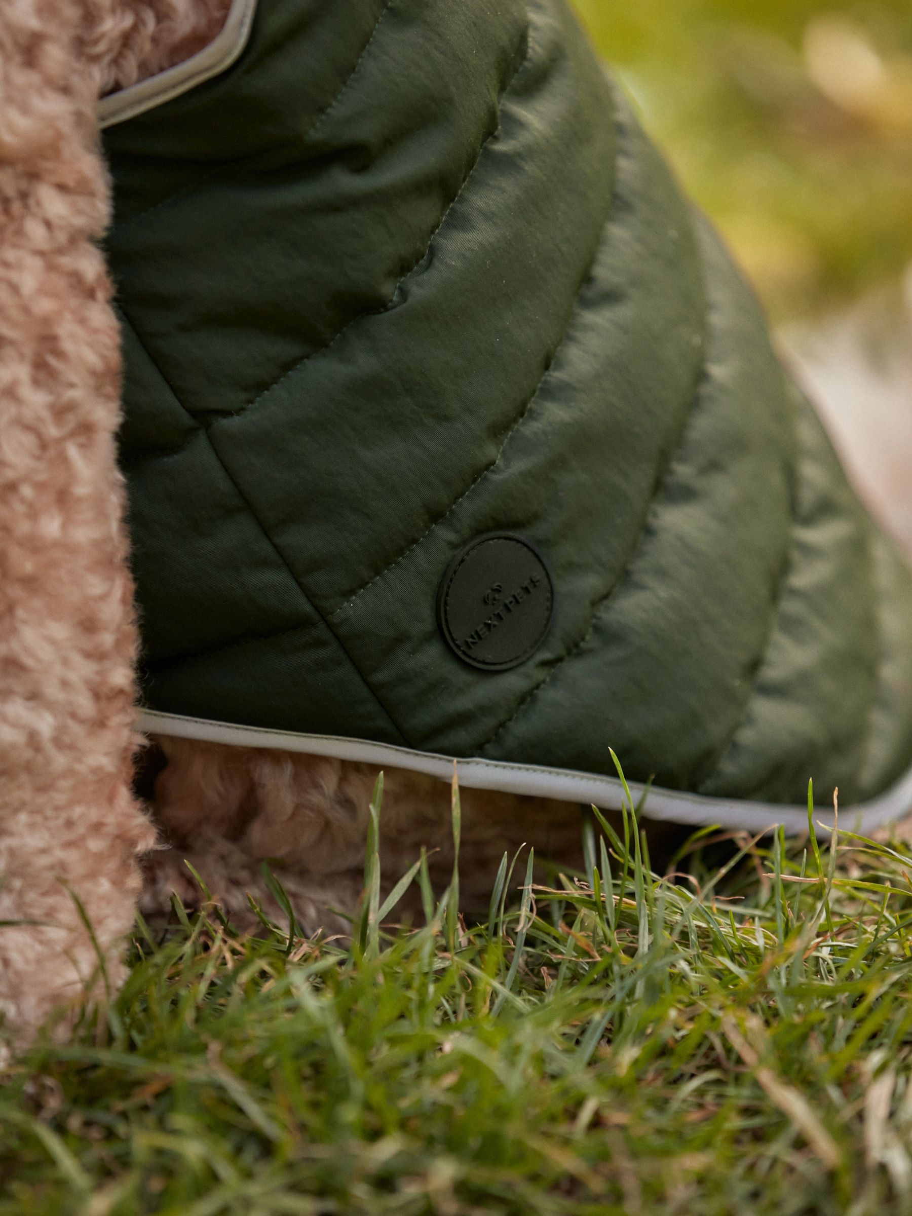 Buy Green/Orange Reversible Padded Dog Coat from the Next UK online shop