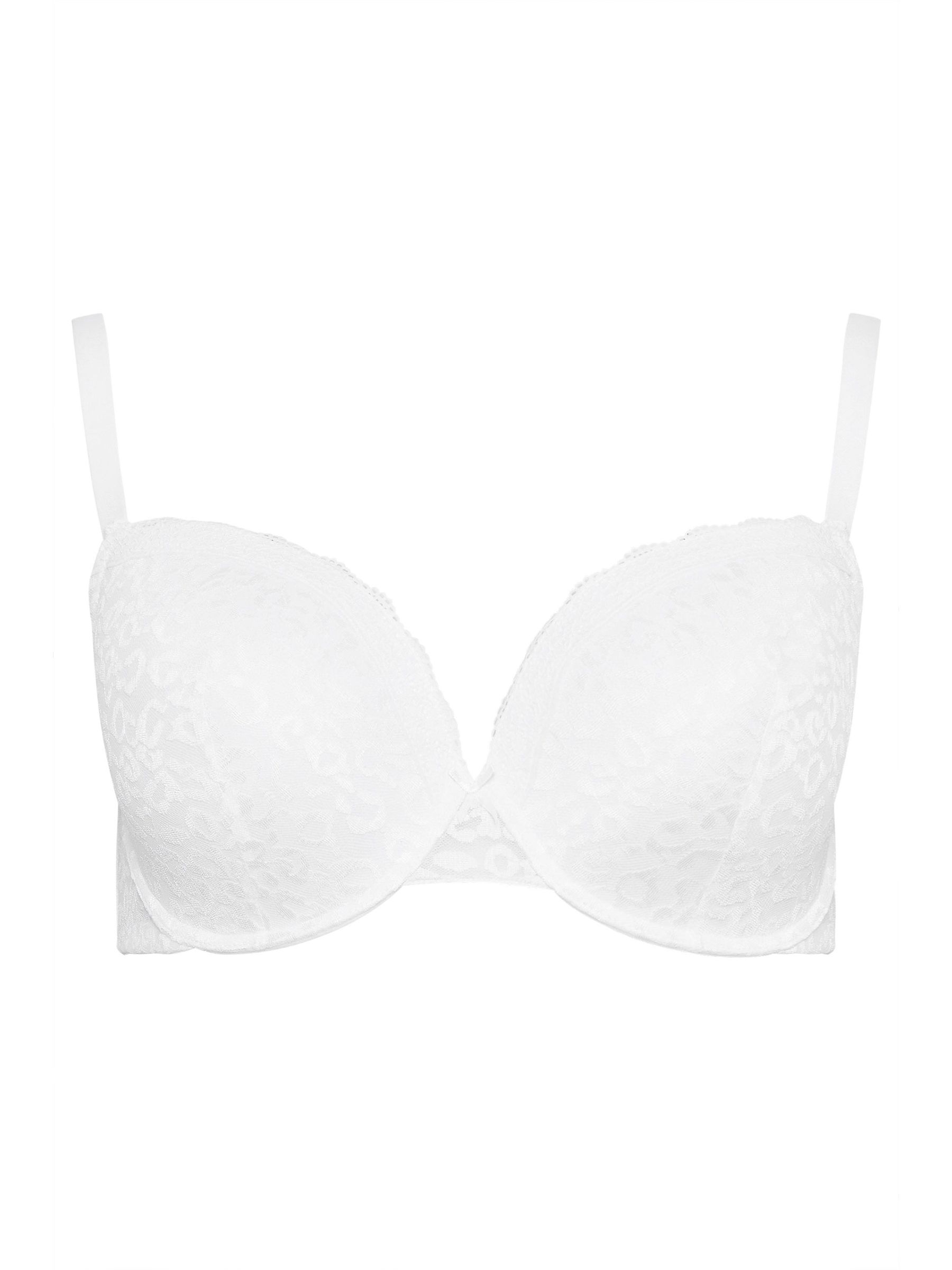 Buy Yours Curve Blue YOURS 2 PACK Blue & White Lace Trim Padded Bras ...