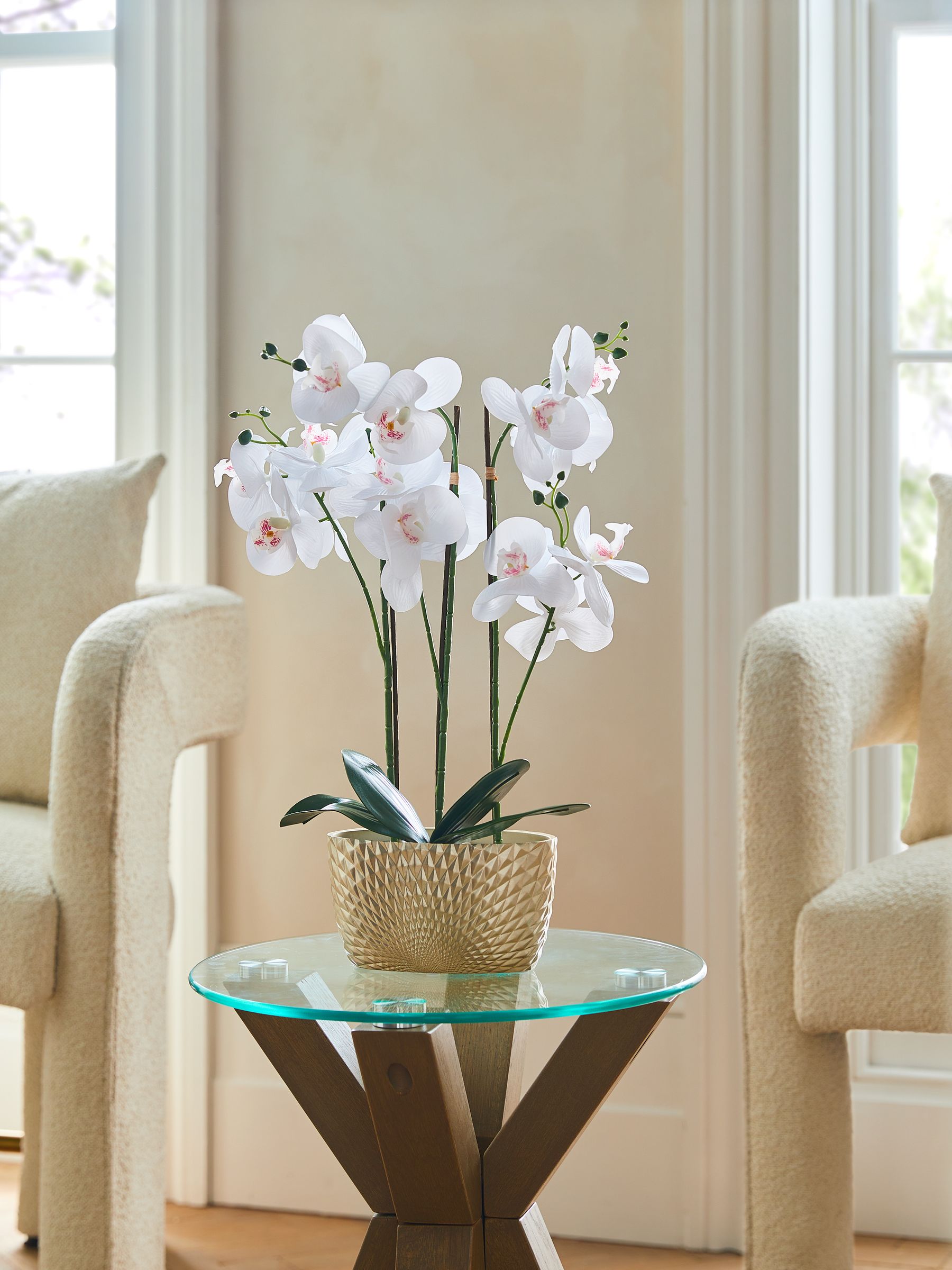 Buy Gold/White Artificial Real Touch Orchid in Geo Pot from the Next UK ...