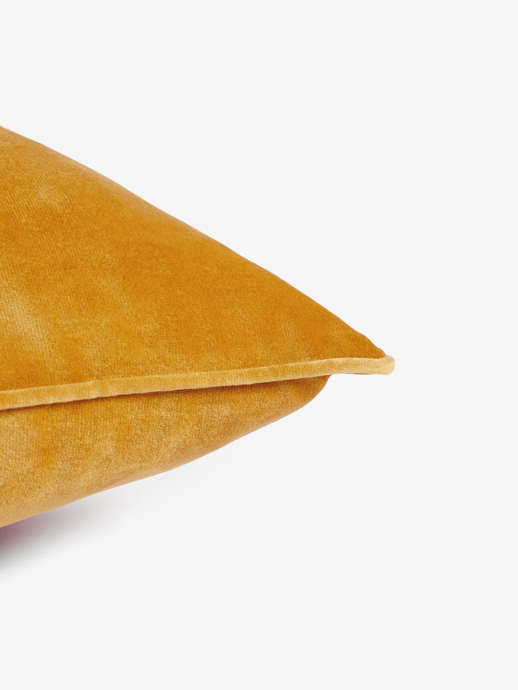 Buy Dark Ochre Yellow 59 x 59cm Matte Velvet Cushion from the Next UK online shop