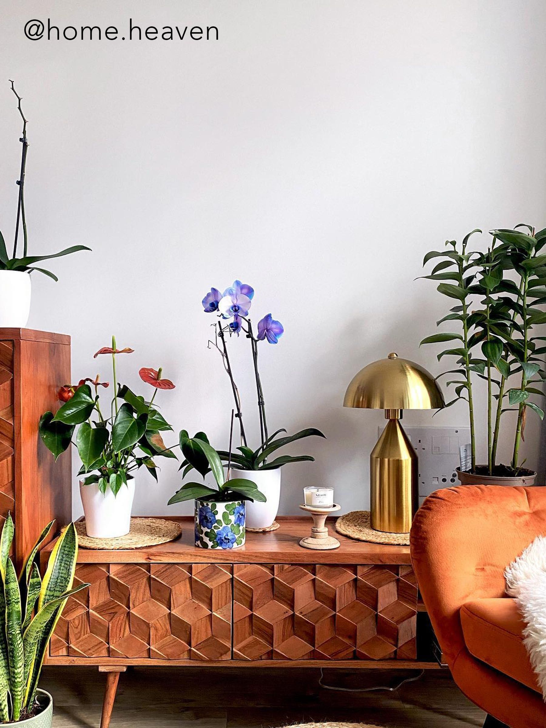 Buy Swoon Dark Brown Terning TV Unit from the Next UK online shop