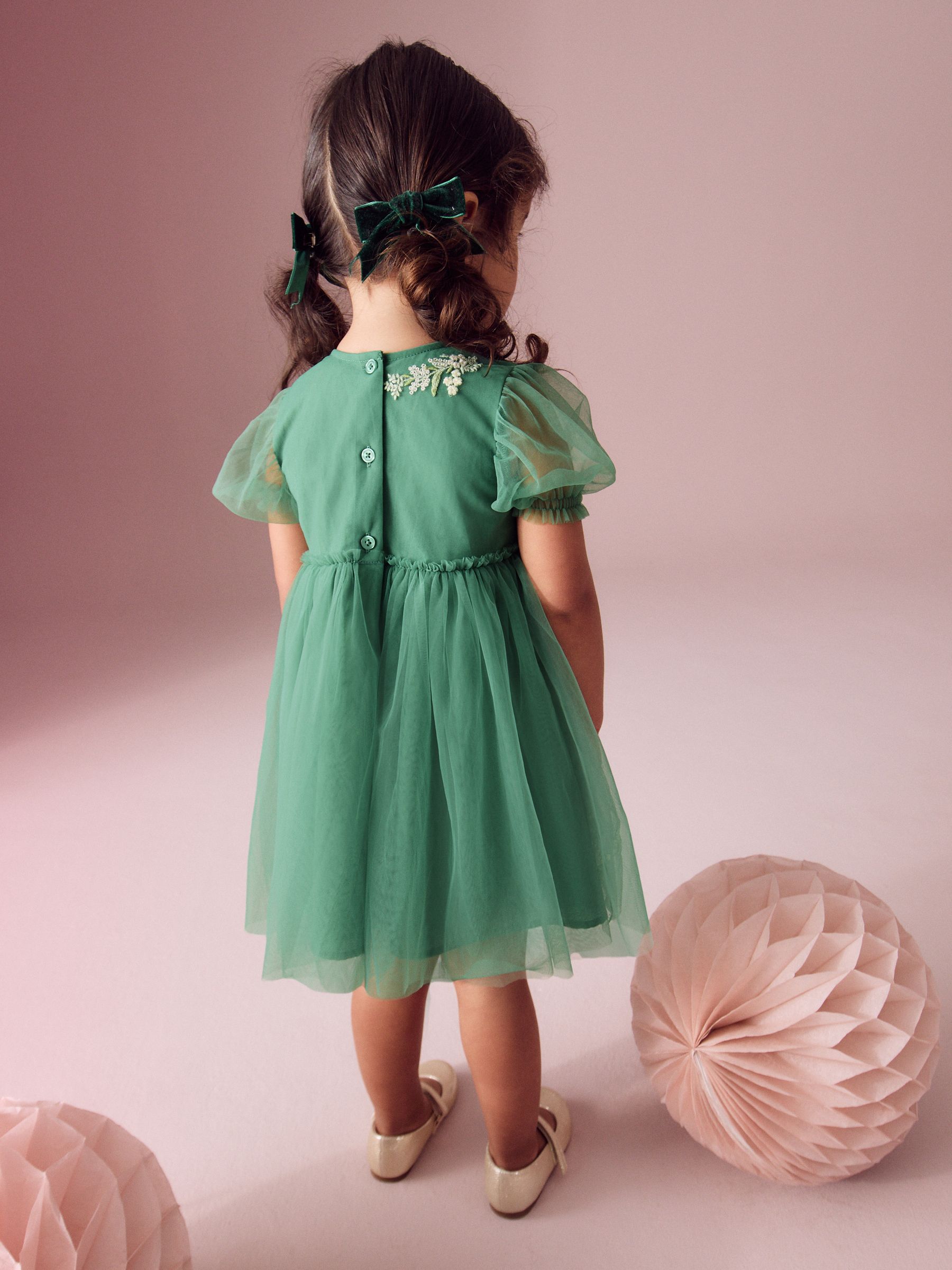 Buy Green Embroidered Mesh Party Dress (3mths-10yrs) from Next Saudi Arabia