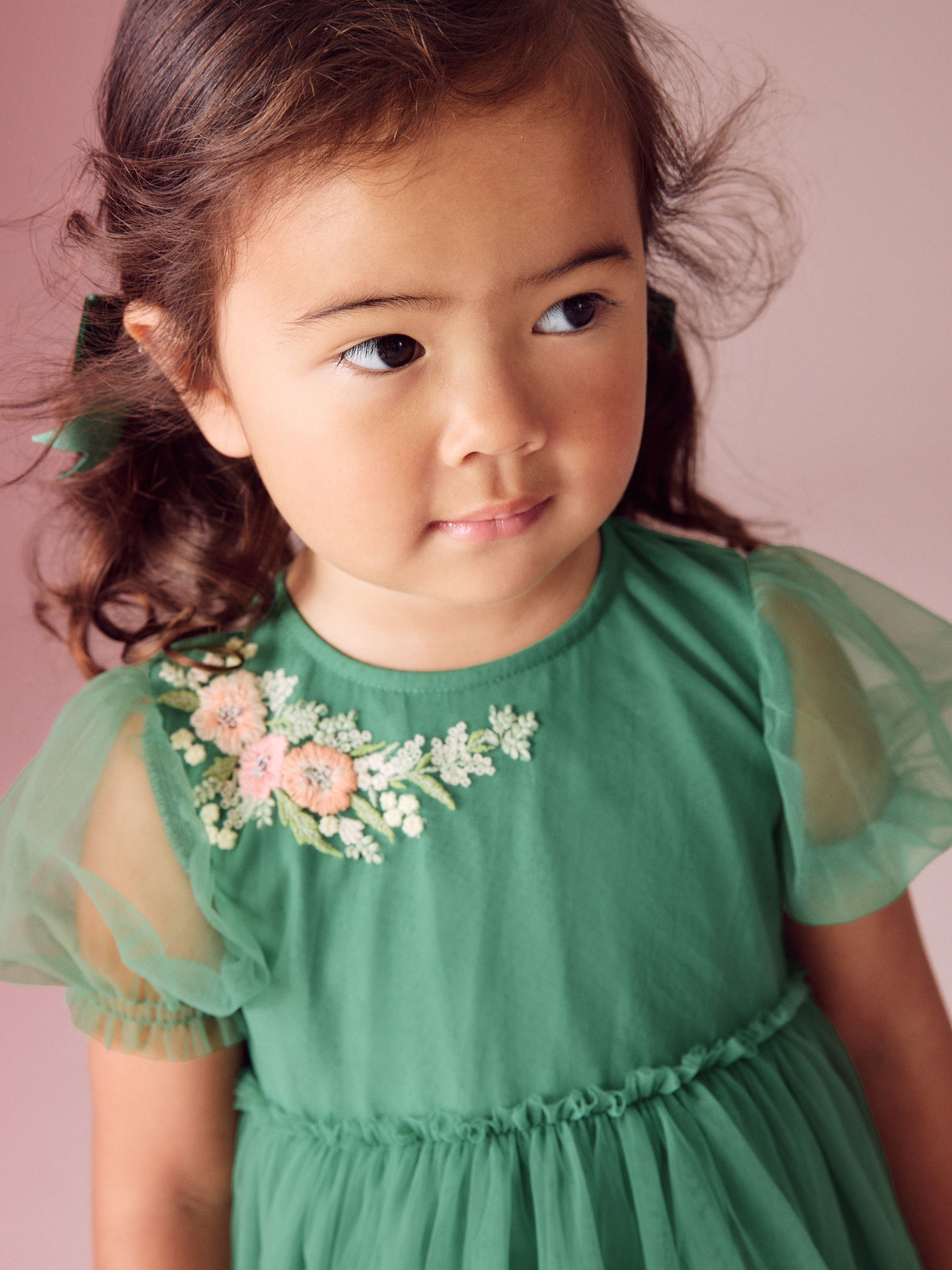 Buy Green Embroidered Mesh Party Dress (3mths-10yrs) from the Next UK ...