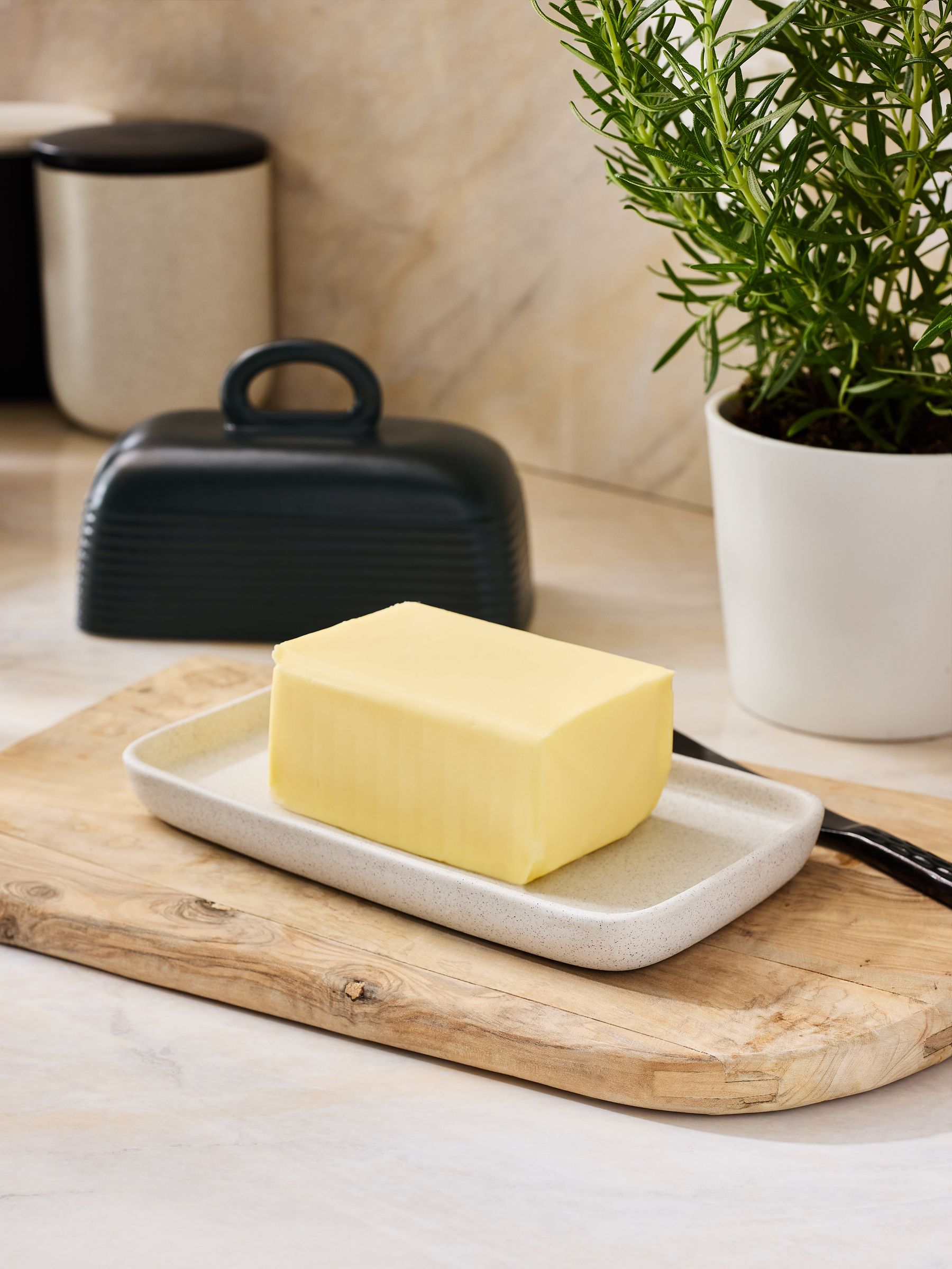 Buy Monochrome Otis Butter Dish from the Next UK online shop