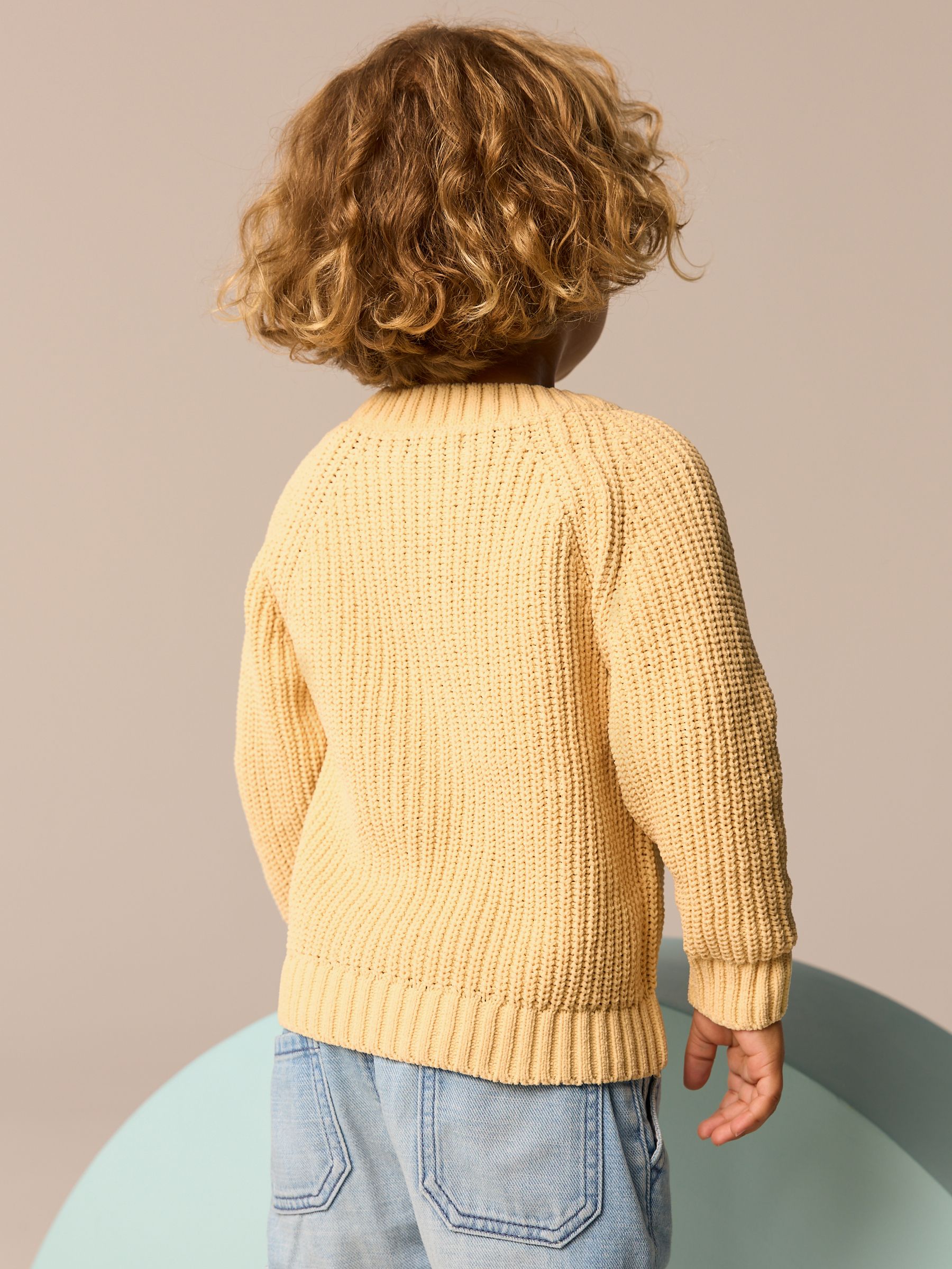 Buy Yellow Knitted Crew Neck Jumper (3mths-7yrs) from Next United Arab ...