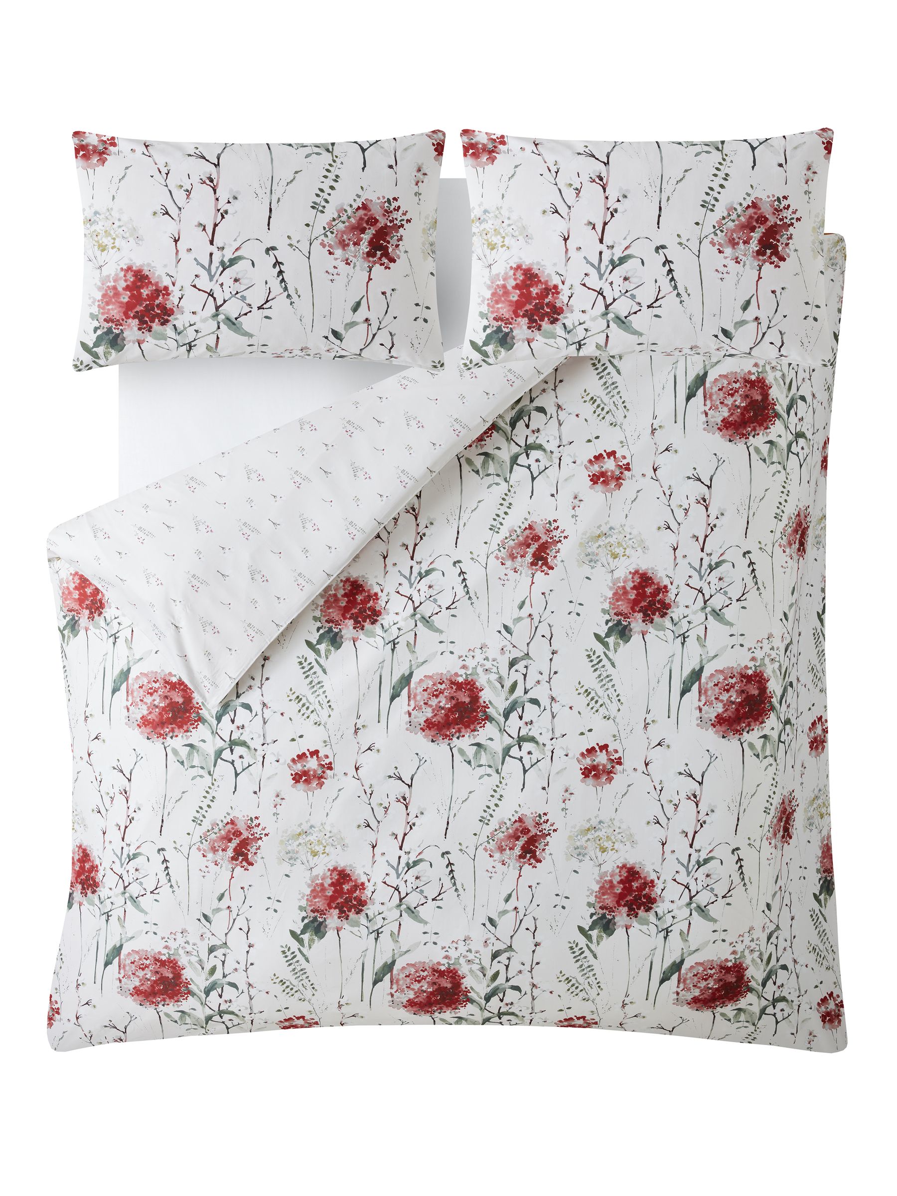 Buy Laura Ashley Red Ruby 100% Cotton Sateen 220 Thread Count ...