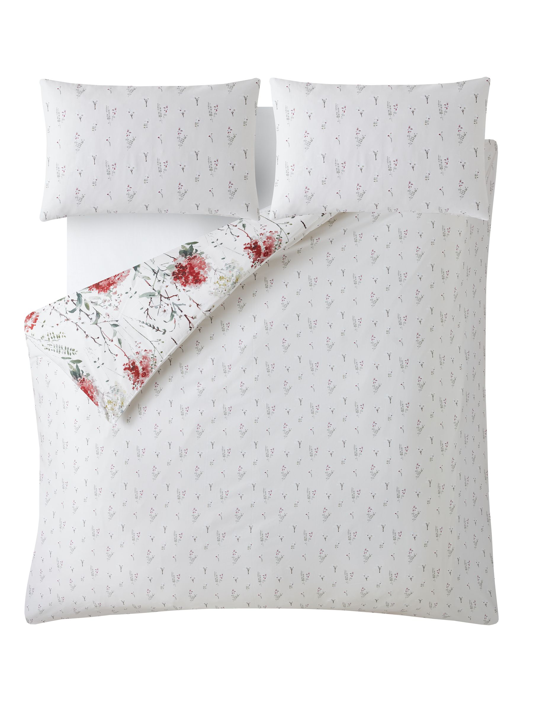 Buy Laura Ashley Red Ruby 100% Cotton Sateen 220 Thread Count ...