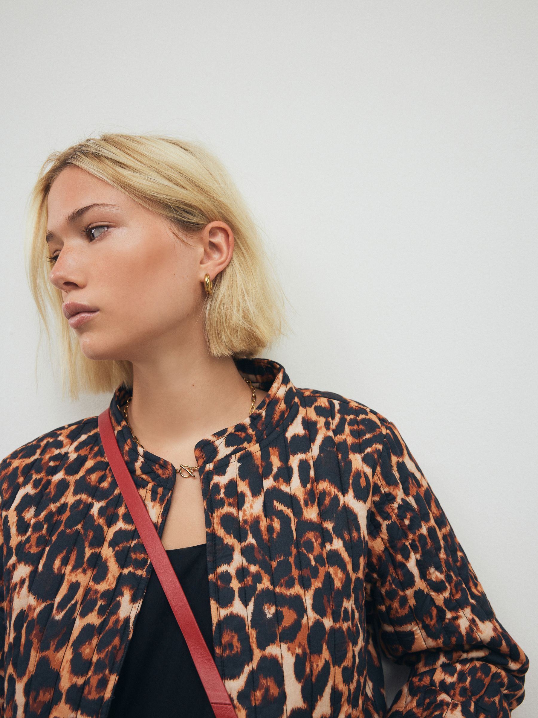 Buy Animal Print Padded 100% Cotton Jacket from the Next UK online shop