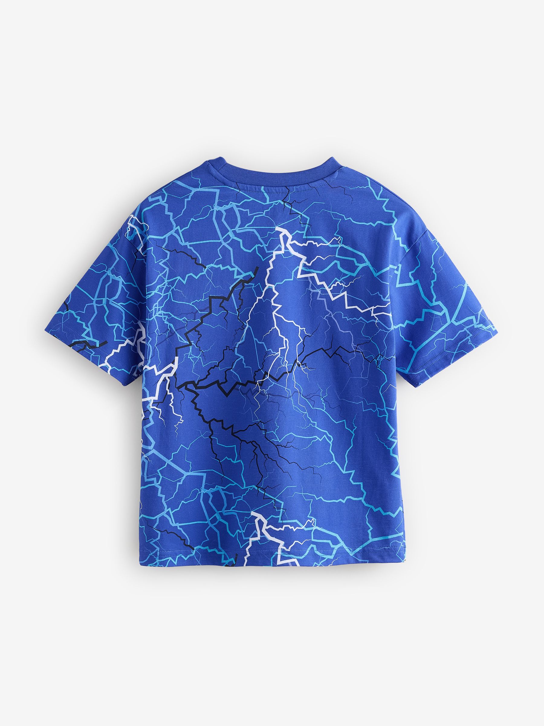 Buy Blue Pokémon License Short Sleeve T-Shirt (3-16yrs) from the Next ...