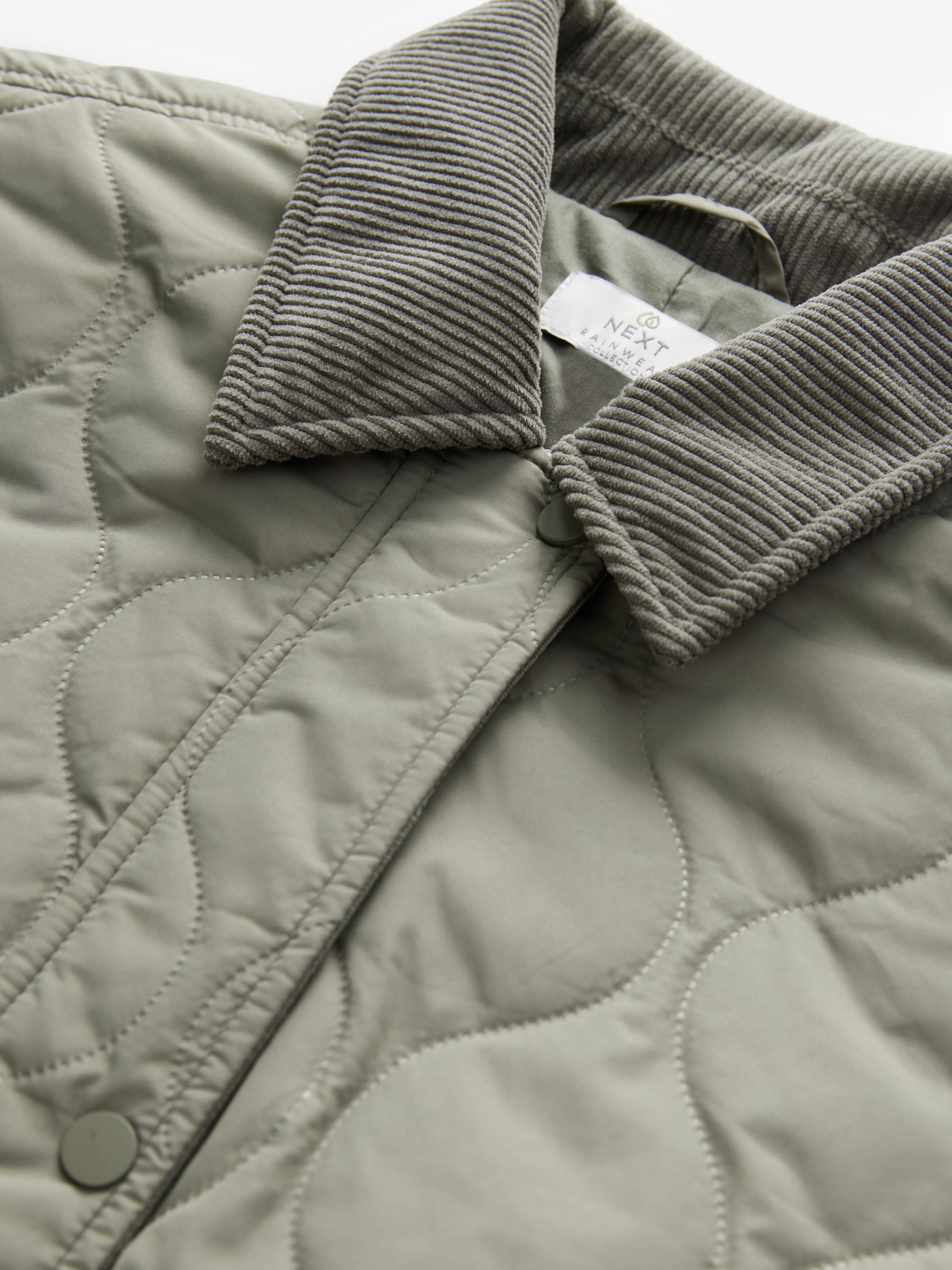 Buy Sage Green Quilted Corduroy Collar Jacket from the Next UK online shop