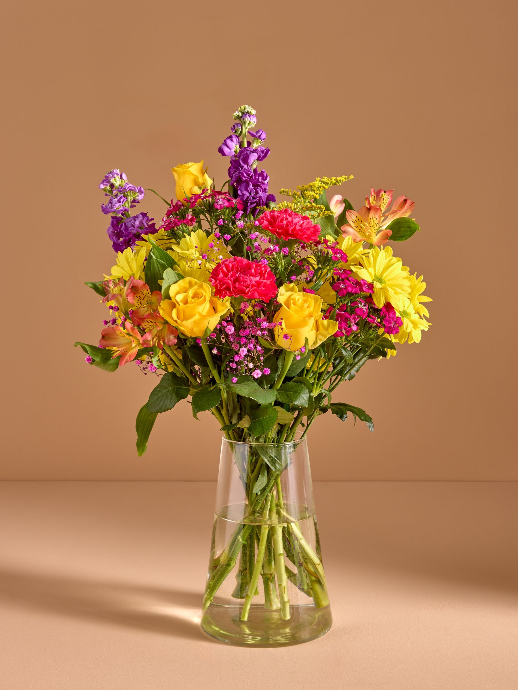 Buy Bright Rose and Carnation Fresh Flower Letterbox Bouquet from the ...