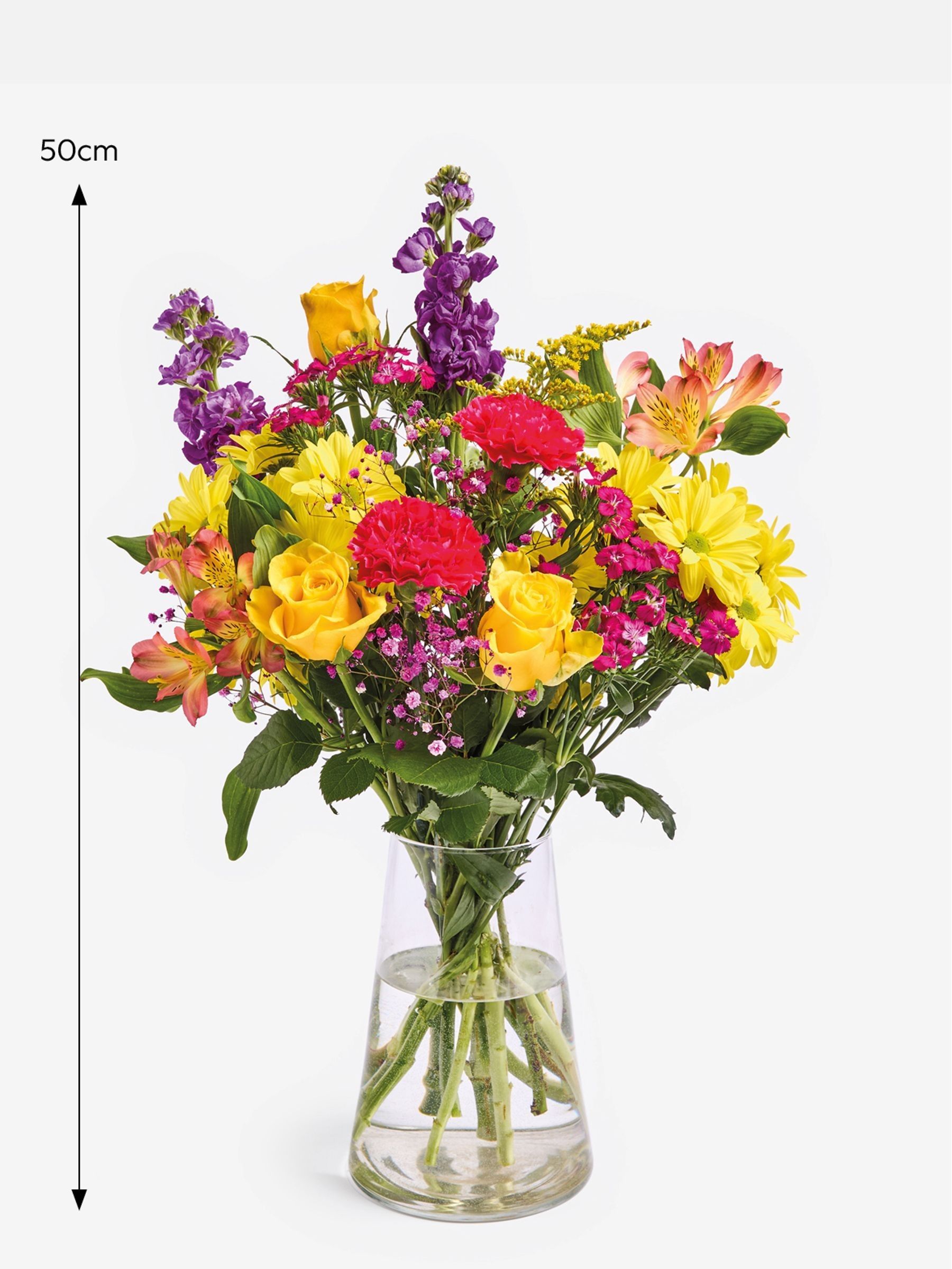 Buy Bright Rose and Carnation Fresh Flower Letterbox Bouquet from the ...