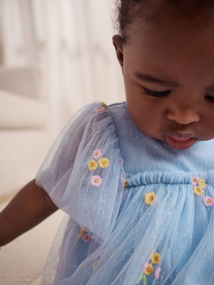 Buy Blue Embroidered Flower Mesh Baby Dress (0mths-2yrs) from Next USA