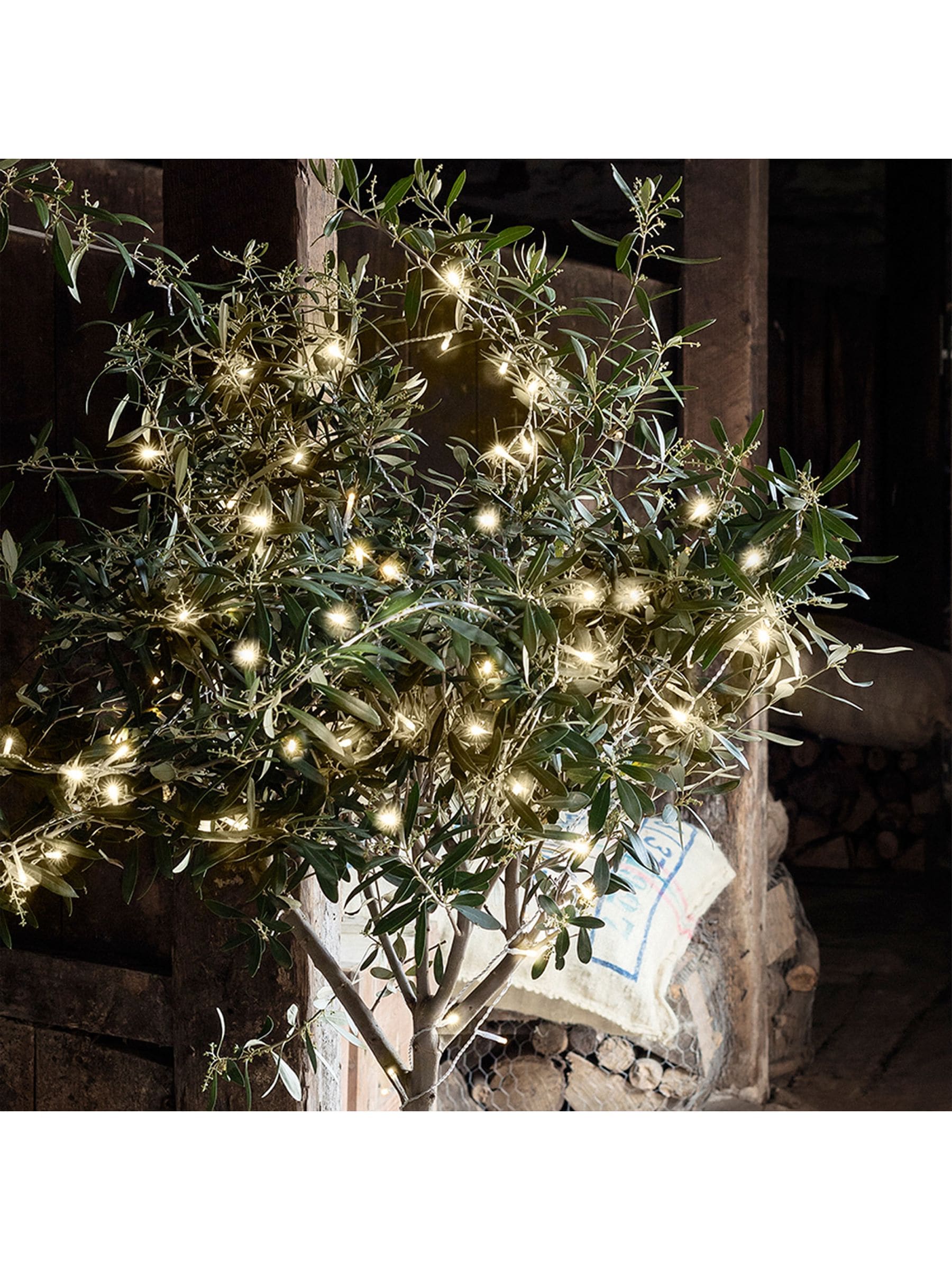 Buy Lights4fun Warm White 200 LED Outdoor Battery Fairy Lights from the ...