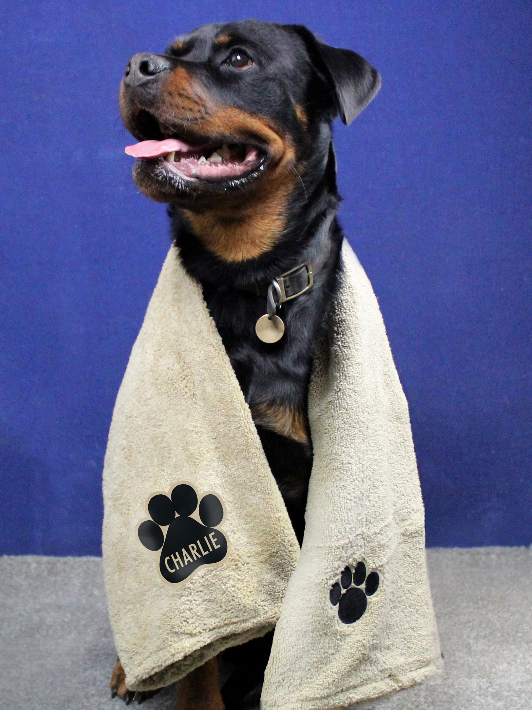 Buy Personalised Paw Print Brown Microfiber Pet Towel by PMC from the ...