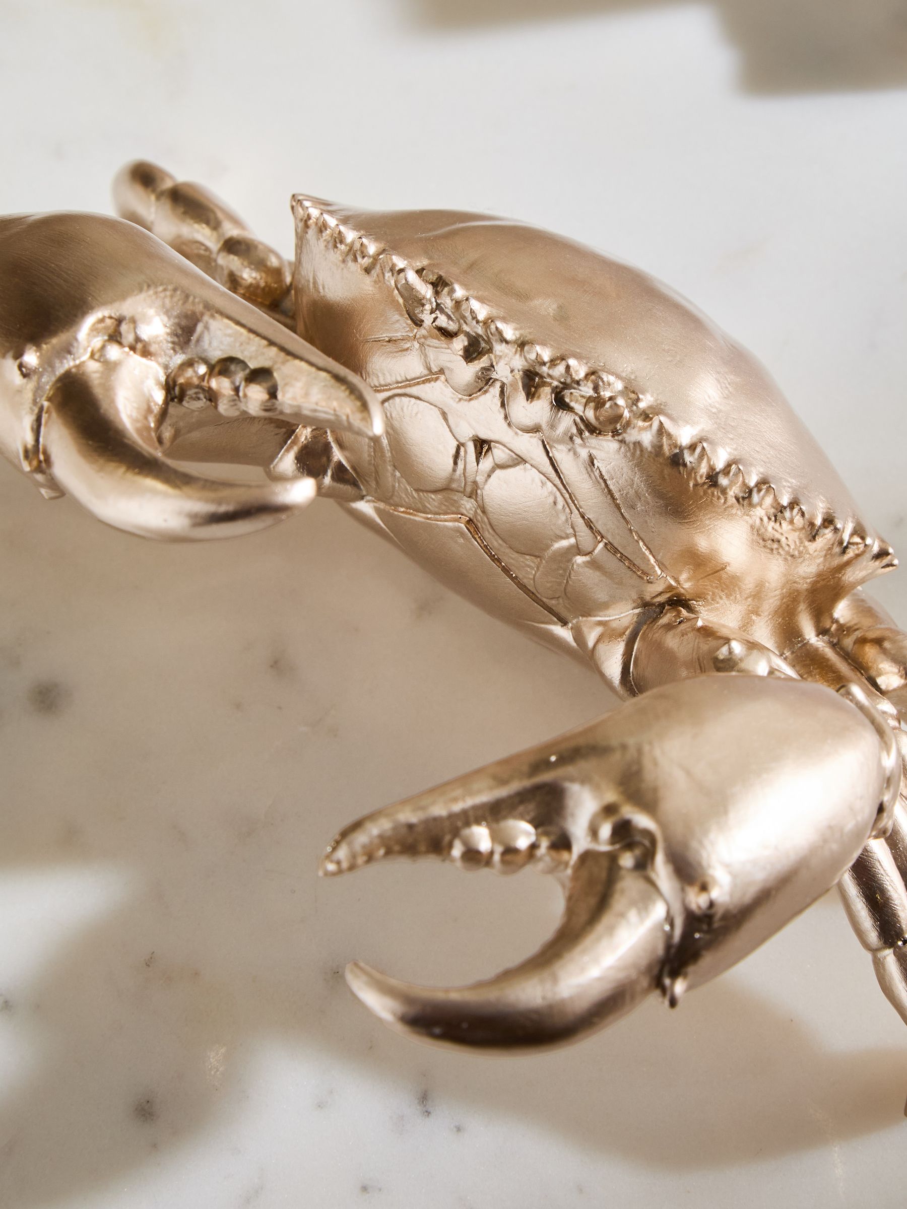 Buy Gold Coastal Crab Ornament from the Next UK online shop