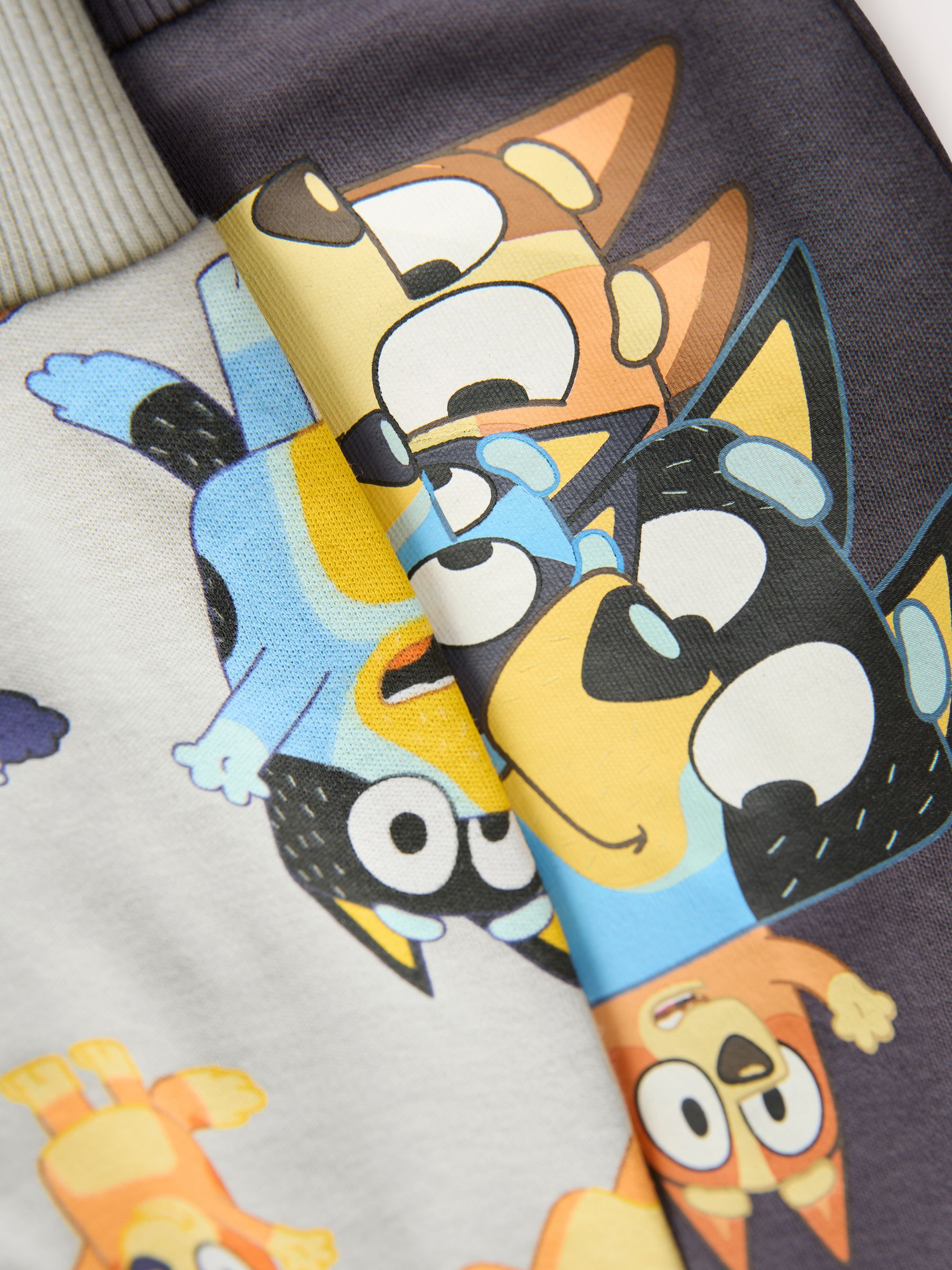 Buy Blue - Bluey Snuggle Pyjamas 2 Pack (12mths-8yrs) from Next Japan