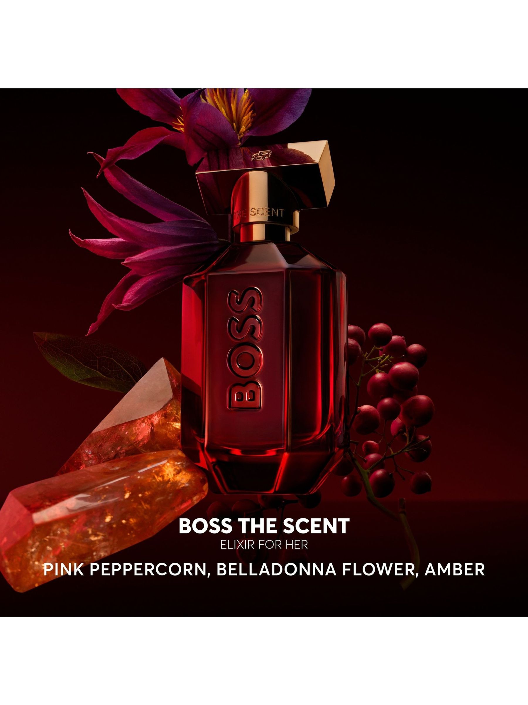 Buy BOSS The Scent Elixir Parfum Intense for Her 50ml from the Next UK ...