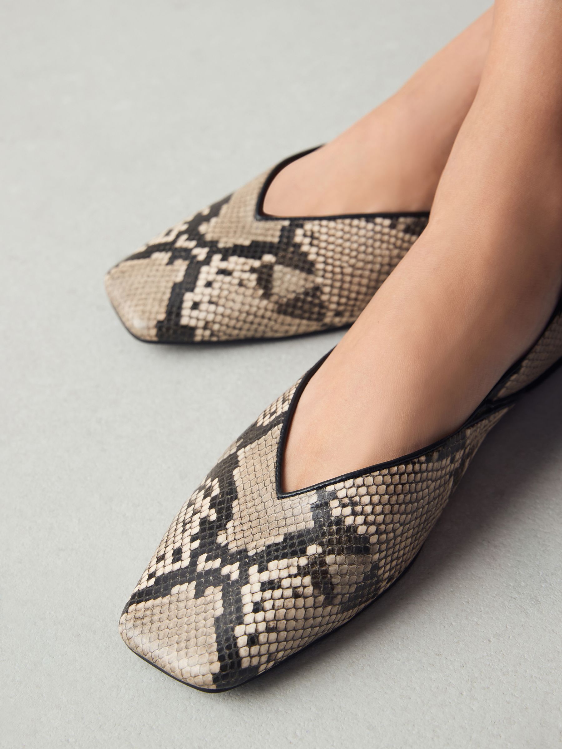 Buy Snake Forever Comfort® Square Toe Ballerinas from the Next UK ...