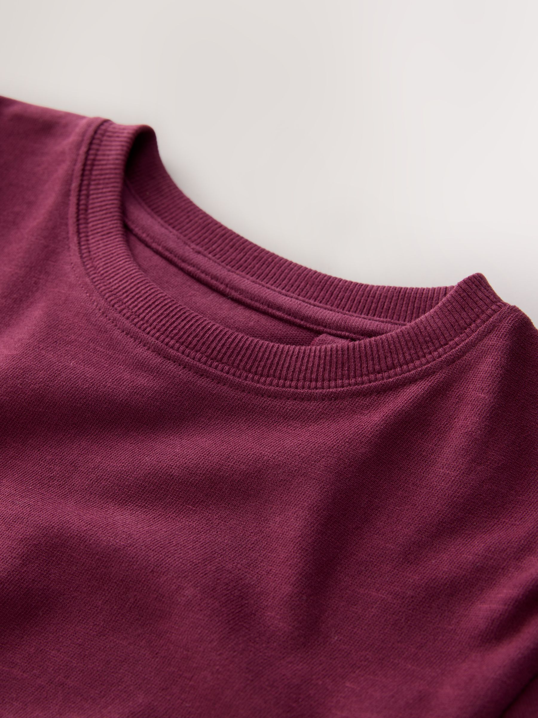 Buy Berry Red Regular Fit Long Sleeve Cosy T-Shirt (3-16yrs) from the ...