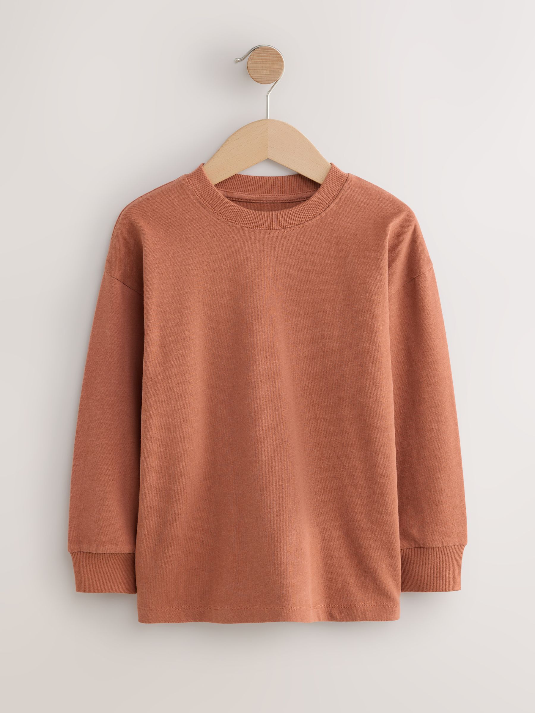 Buy Rust Red Regular Fit Long Sleeve Cosy T-Shirt (3-16yrs) from the ...