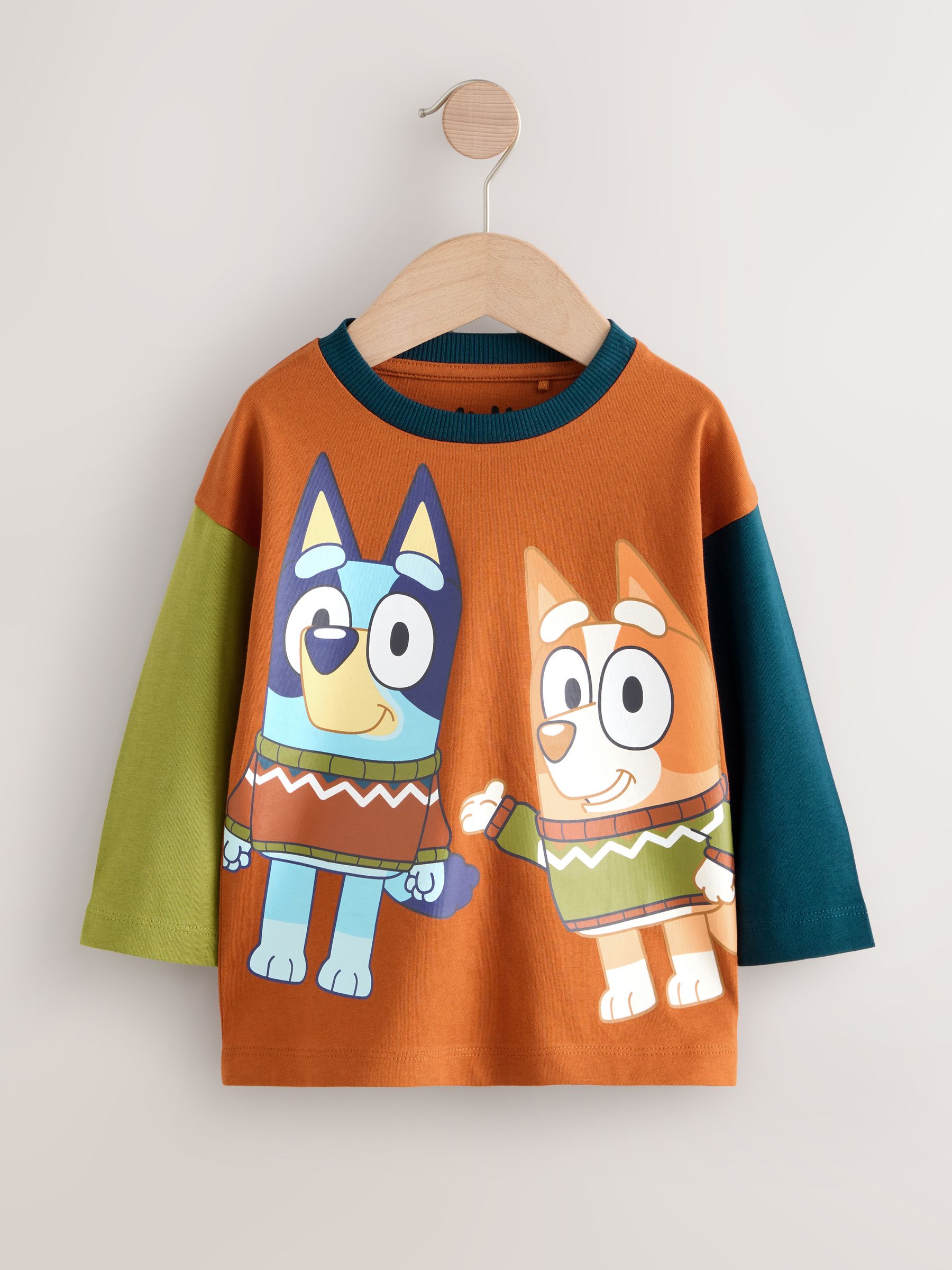 Buy Rust Brown Bluey Long Sleeve T-Shirt (12mths-8yrs) from Next USA