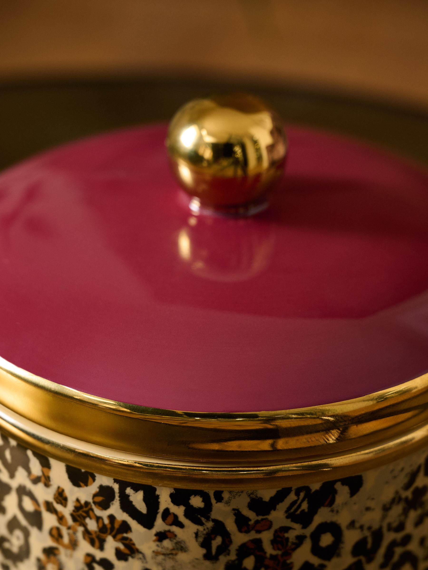 Buy Multicolour Leopard Print Ceramic Trinket Pot from Next Israel