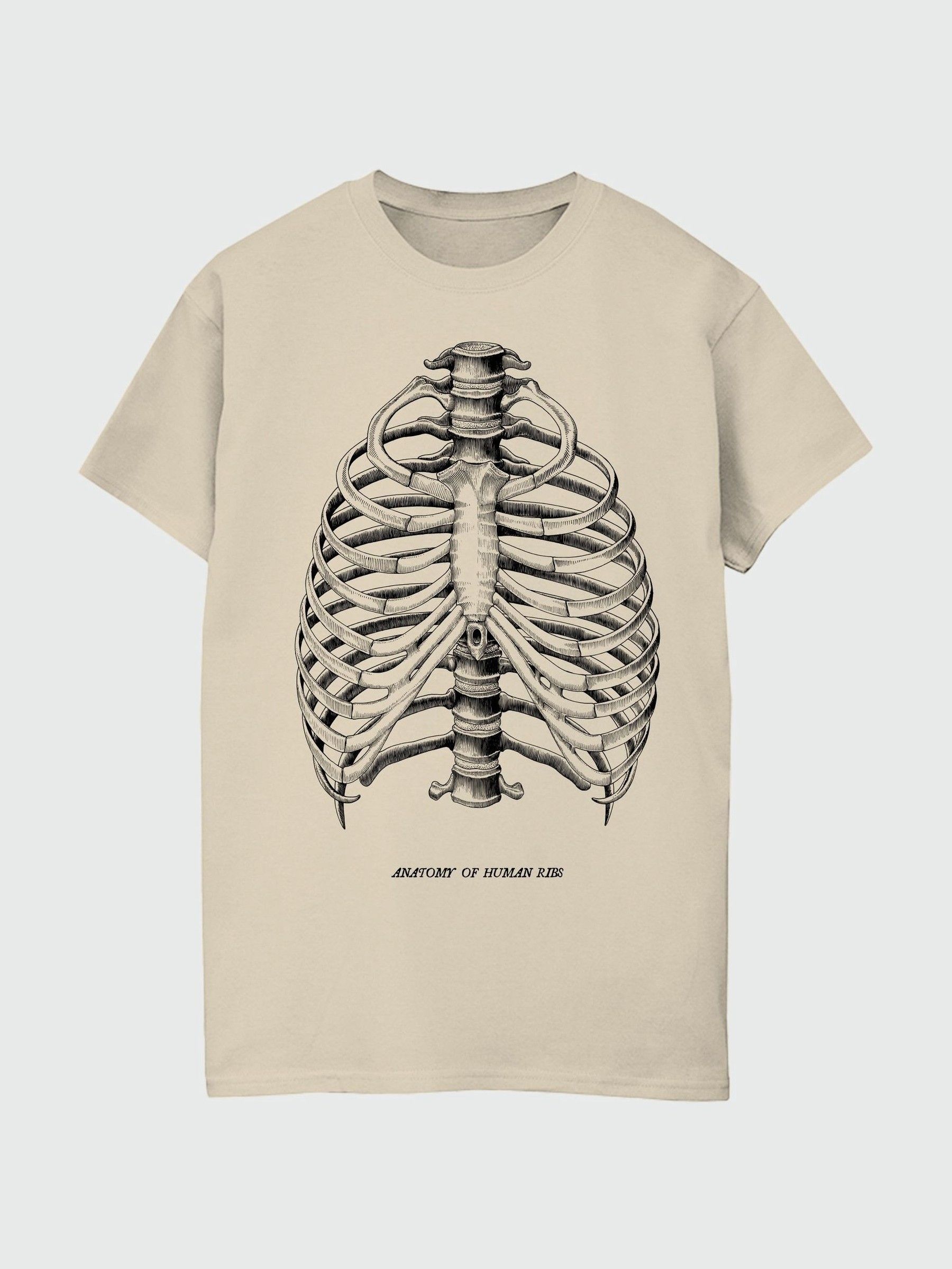 Buy Brands In Natural Men Anatomy Of Human Ribs 100% Cotton T-Shirt ...