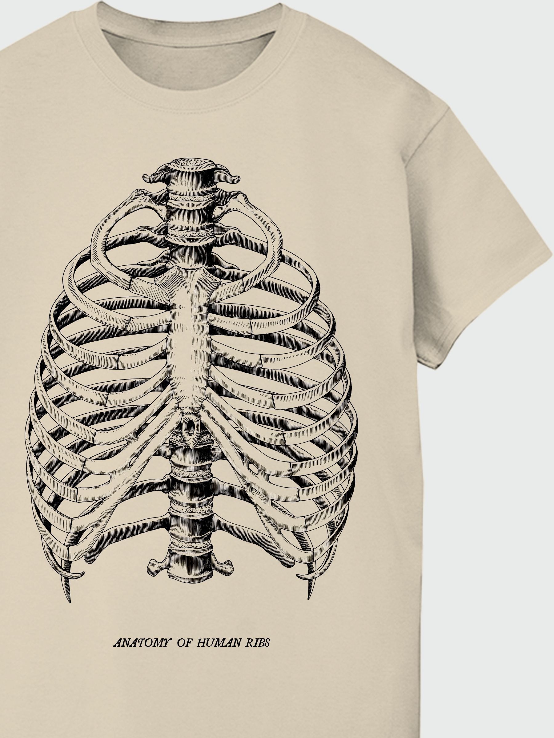 Buy Brands In Natural Men Anatomy Of Human Ribs 100% Cotton T-Shirt ...