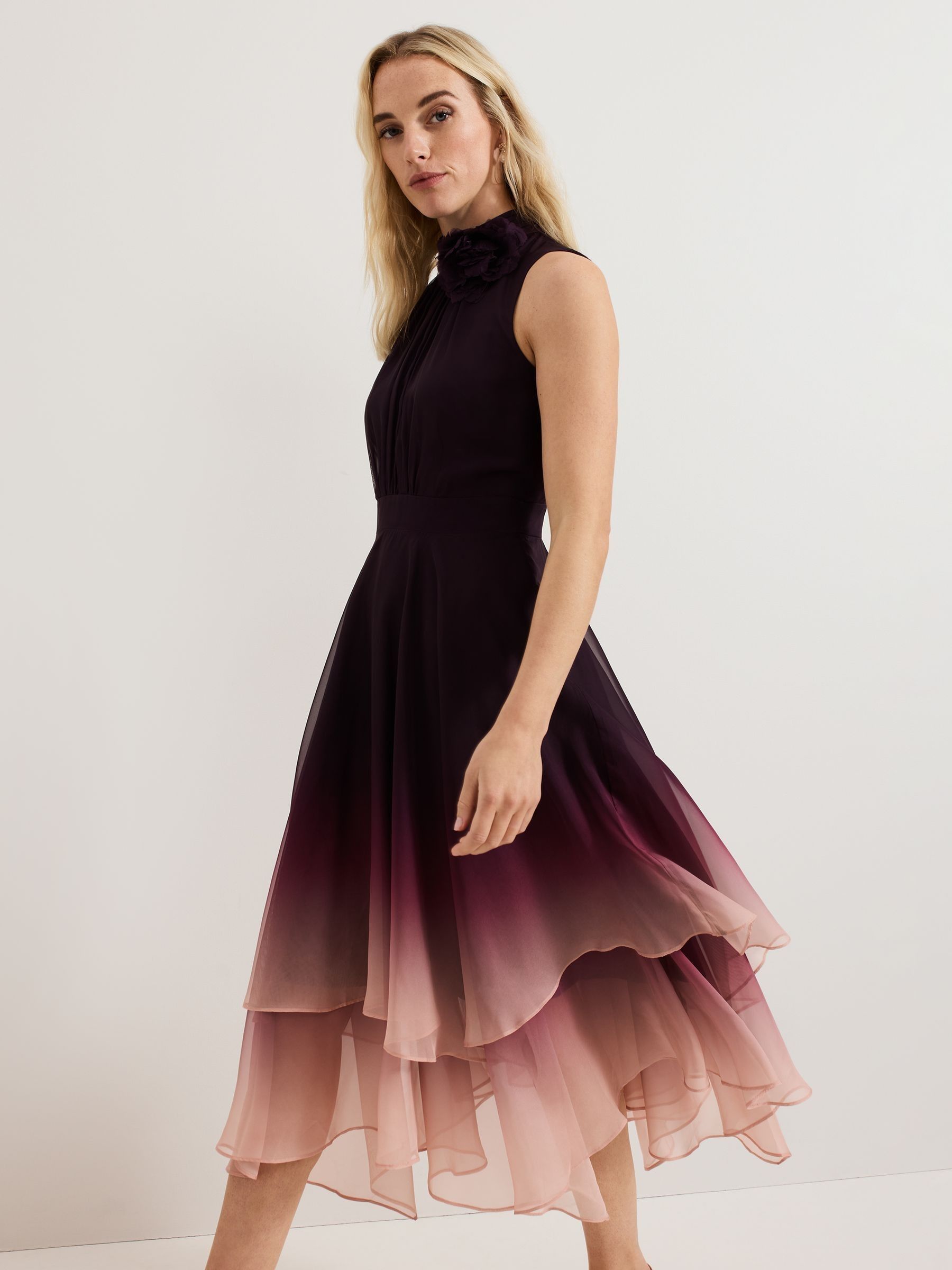 Buy Phase Eight Black Maybel Ombre Dress from the Next UK online shop