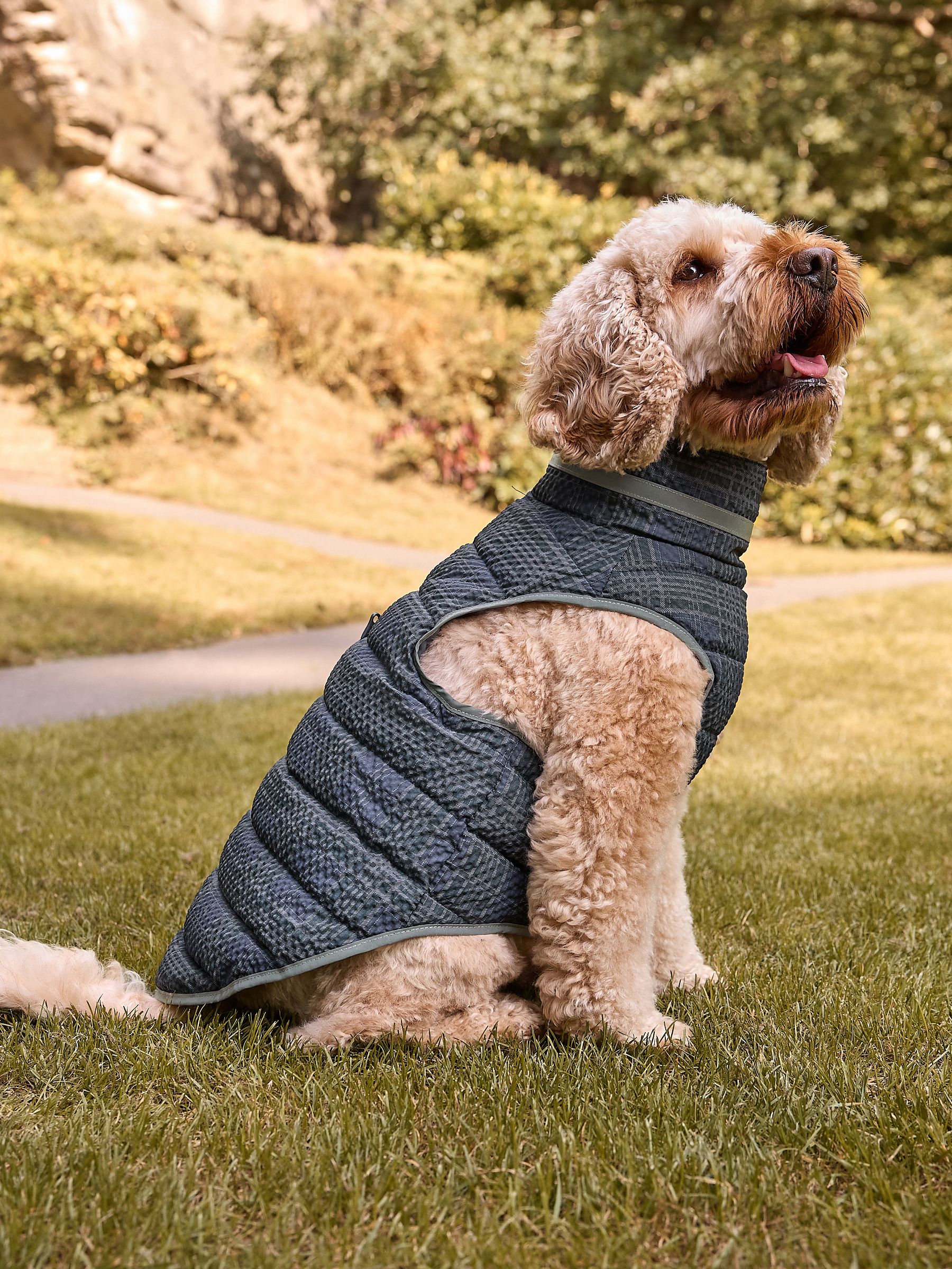 Buy Navy Check Reversible Dog Coat from Next Australia