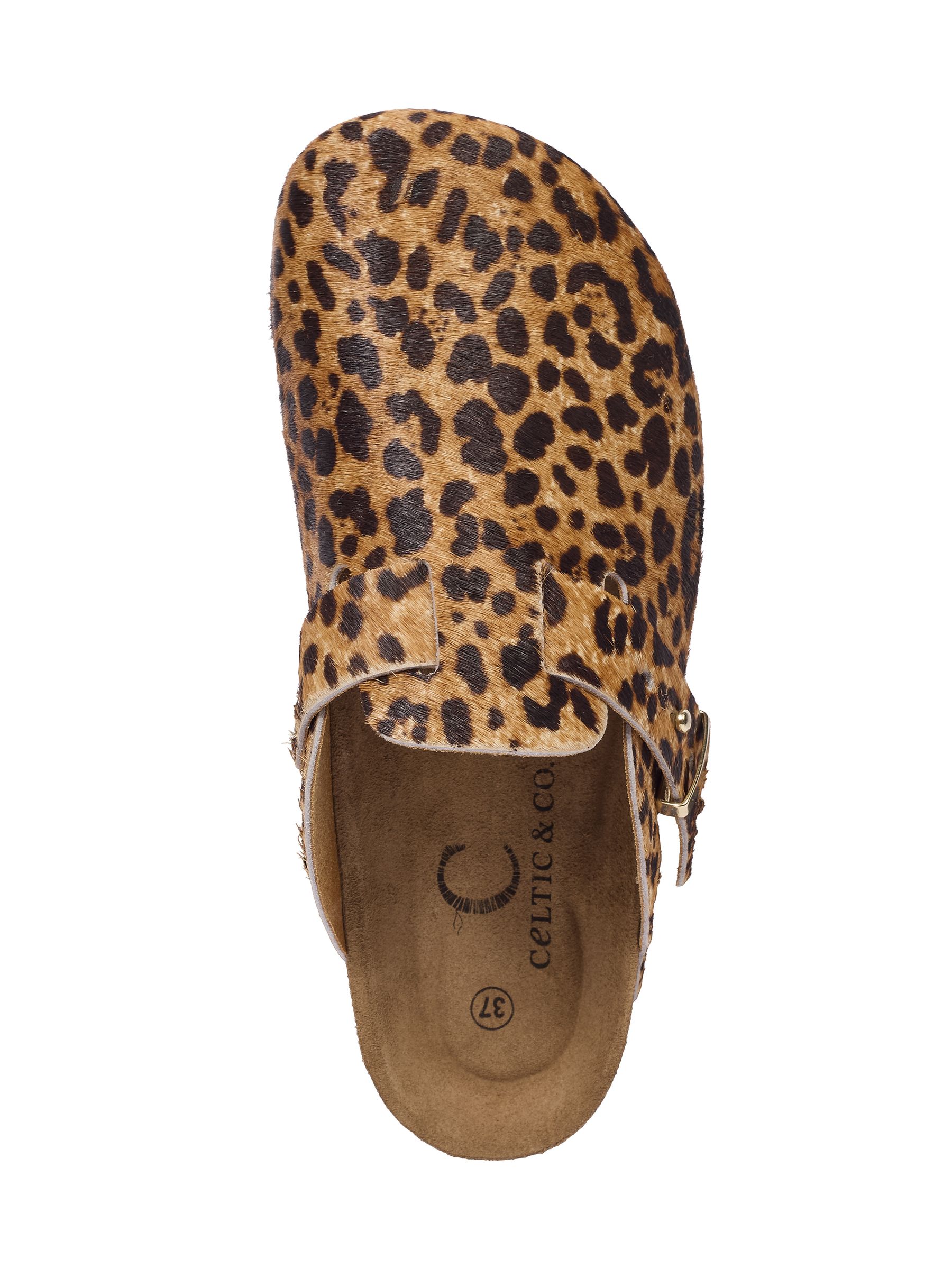 Buy Celtic & Co. Brown Stud Strap Clogs from the Next UK online shop