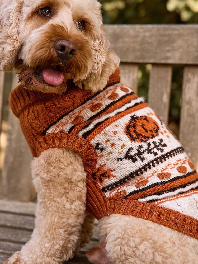 next orange button jumper