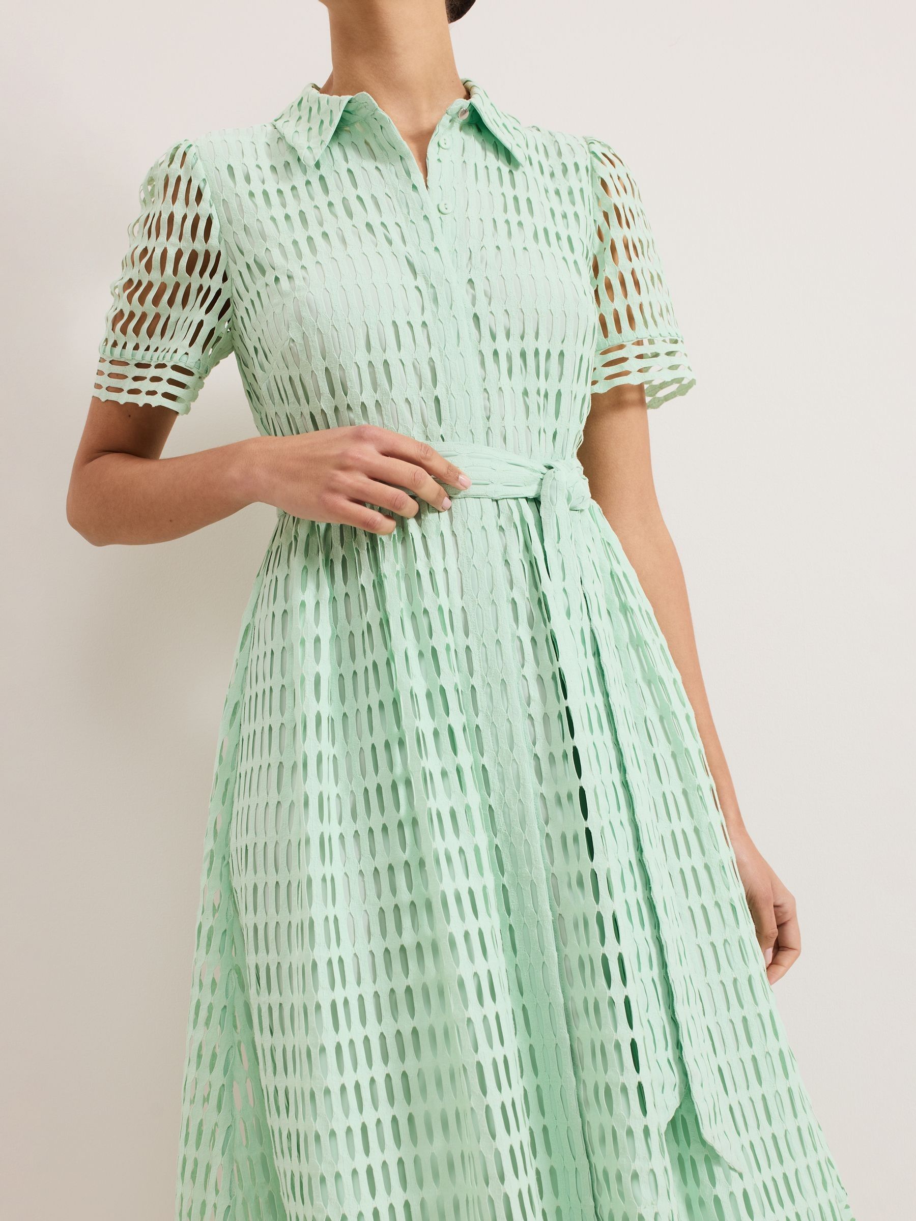 Buy Phase Eight Green Sandy Lace Dress from the Next UK online shop