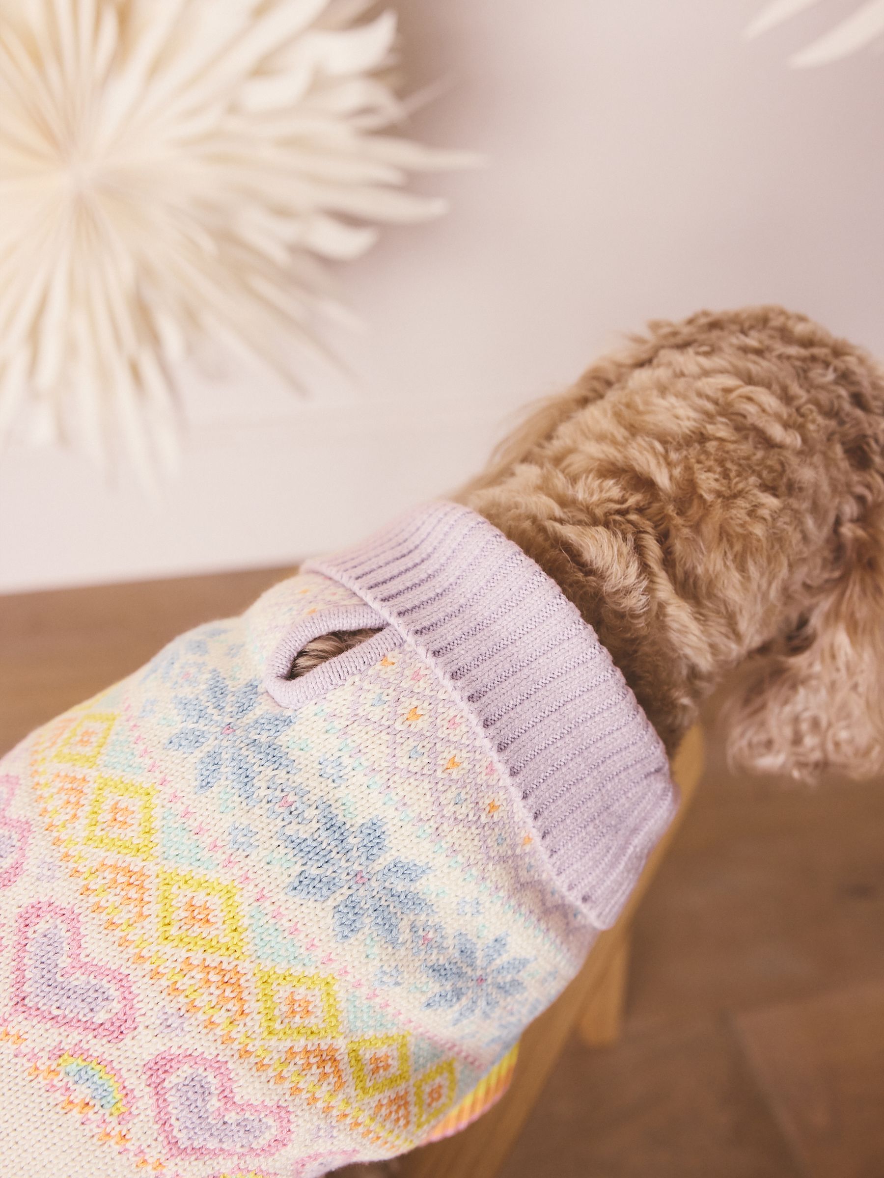 Buy Little Bird by Jools Oliver Pastel Rainbow Knitted Pets Jumper from ...