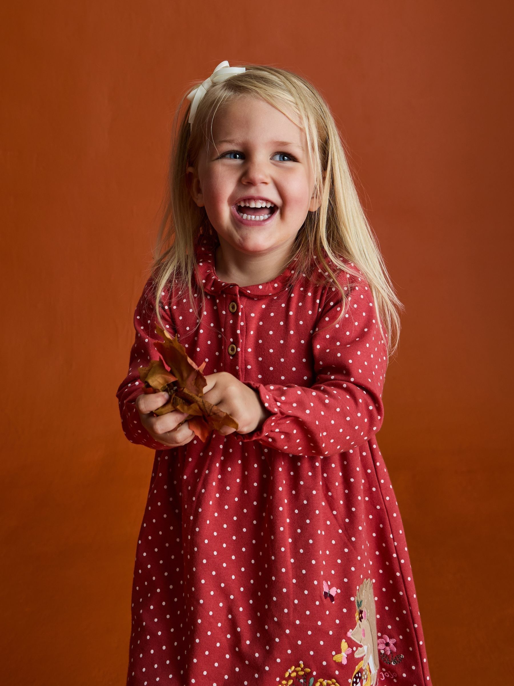 Buy JoJo Maman Bébé Rust Orange Hedgehog Frill Collar Appliqué Dress from the Next UK online shop