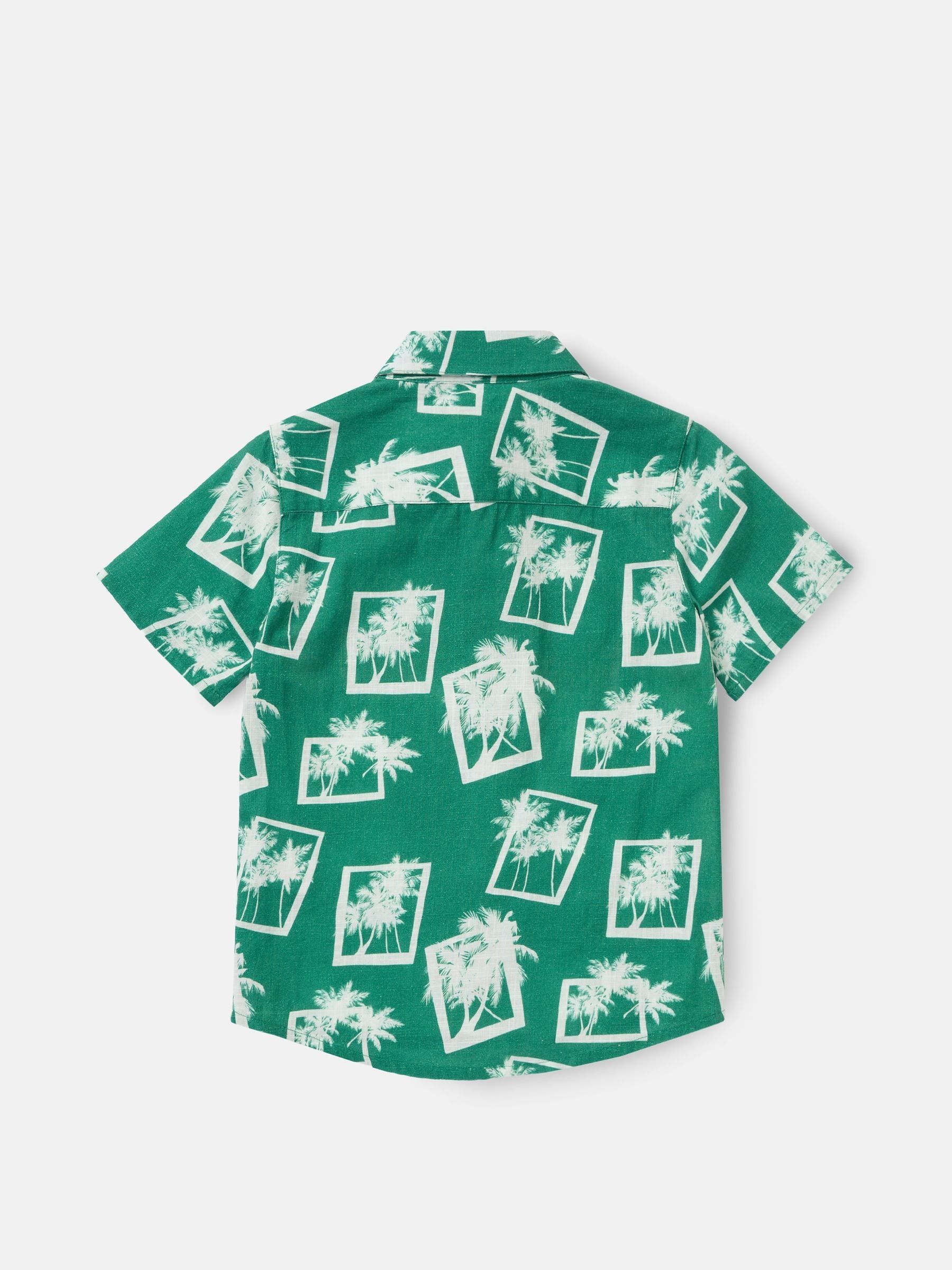 Buy Angel & Rocket Green Jamie Palm Print Resort 100% Cotton Shirt from ...