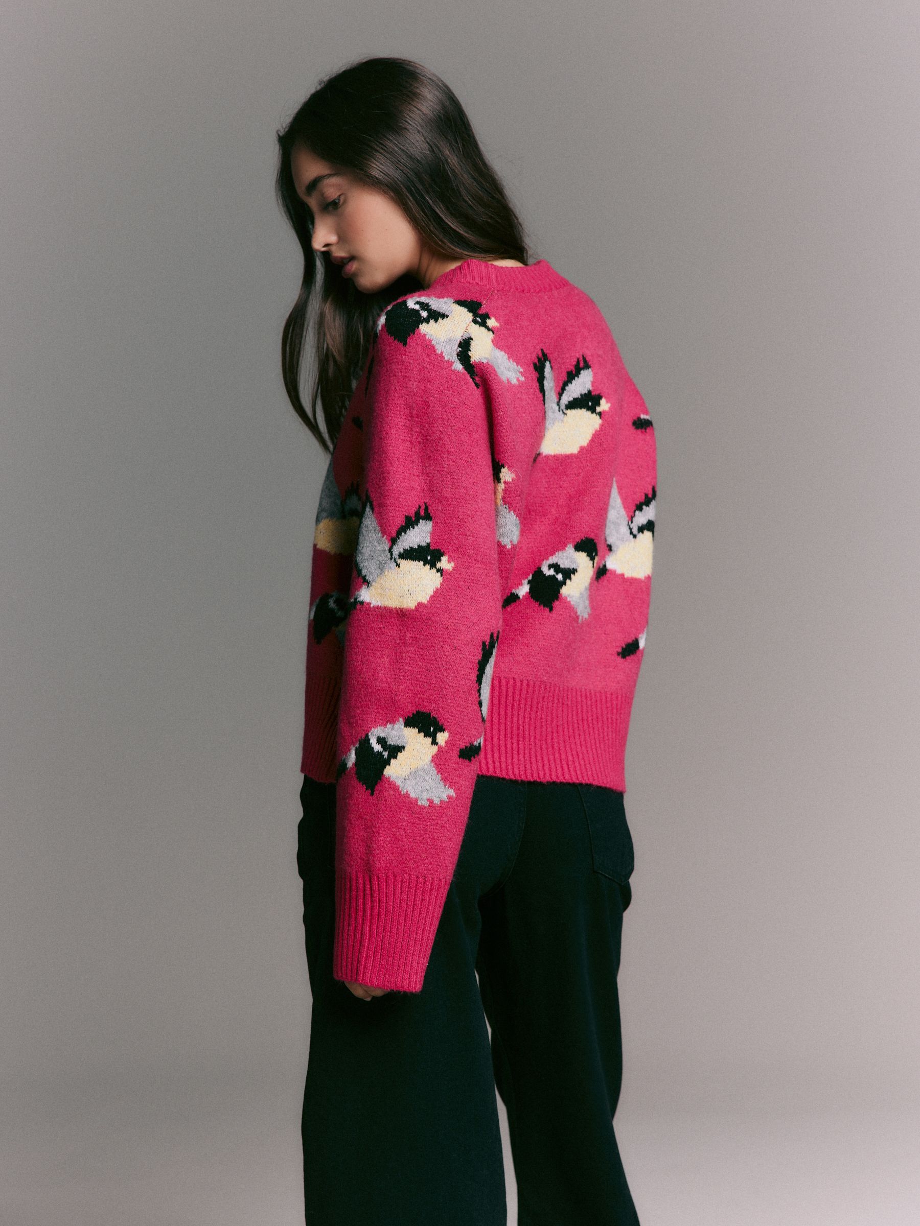 Buy Bright Pink Bird Crew Neck Knitted Jumper with Wool from the Next ...