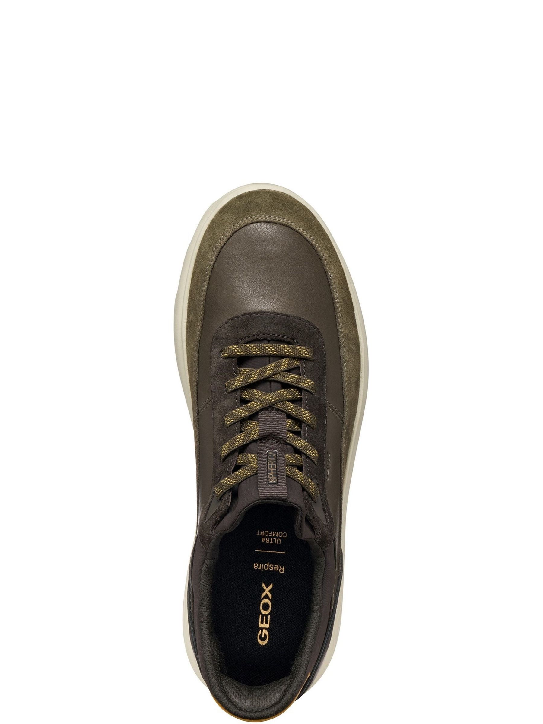 Buy Geox Green Spherica Plus Sneakers from Next Malta