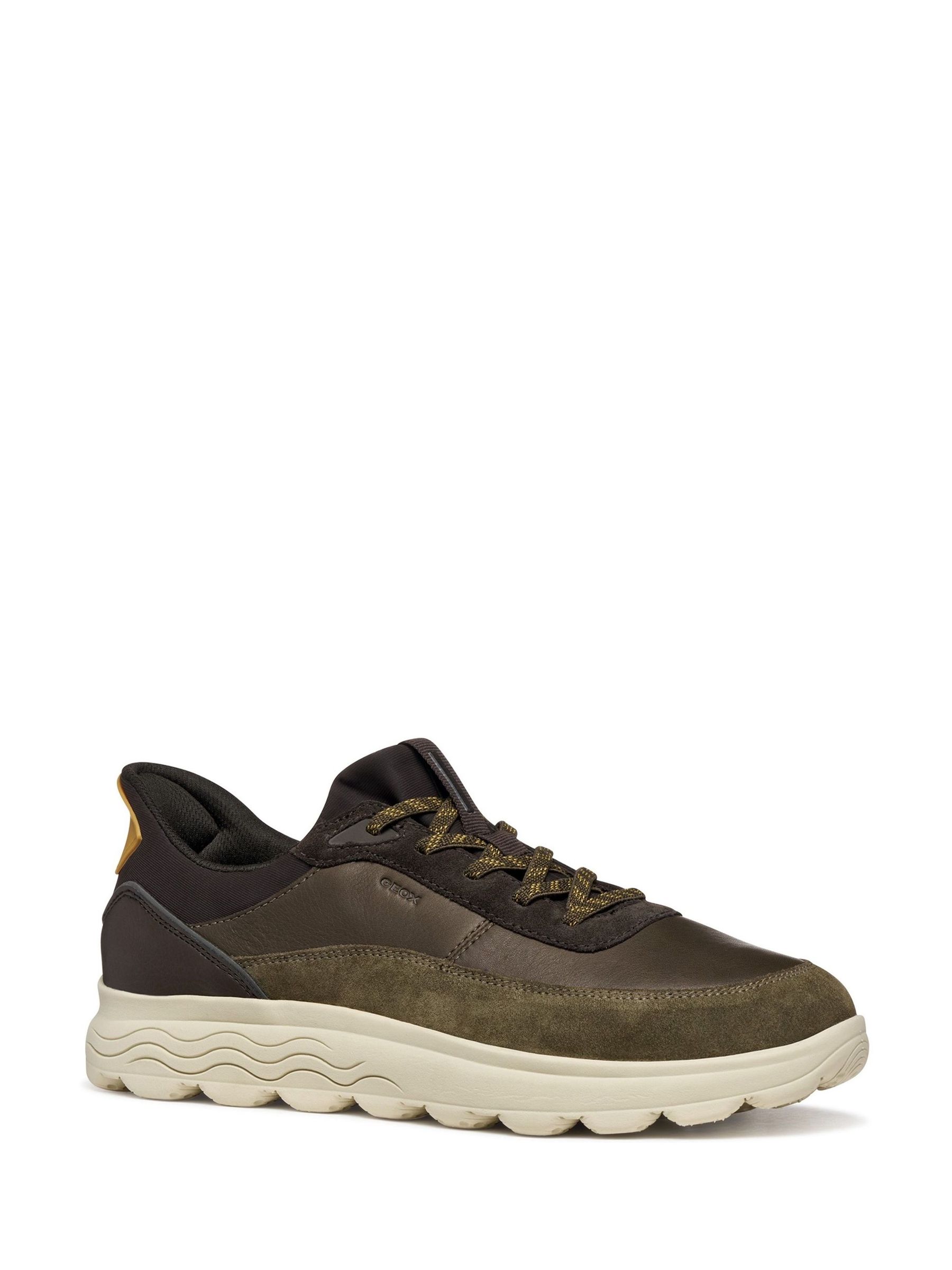 Buy Geox Green Spherica Plus Sneakers from Next Malta