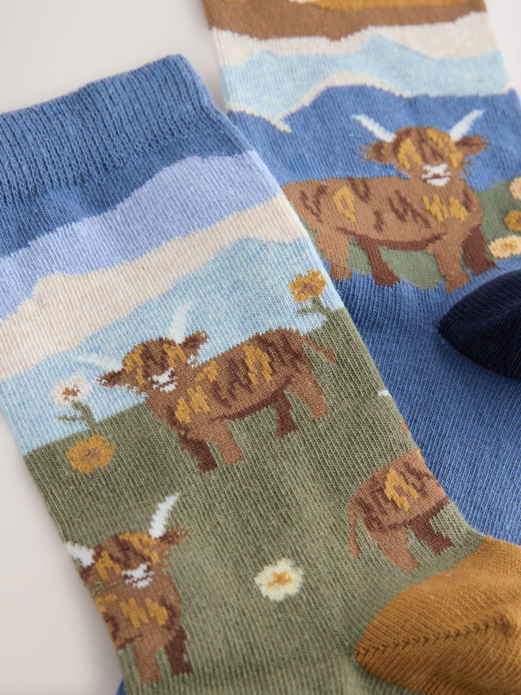 Buy Hamish The Highland Cow Scene Warm Handle Cotton Ankle Socks 2 Pack ...