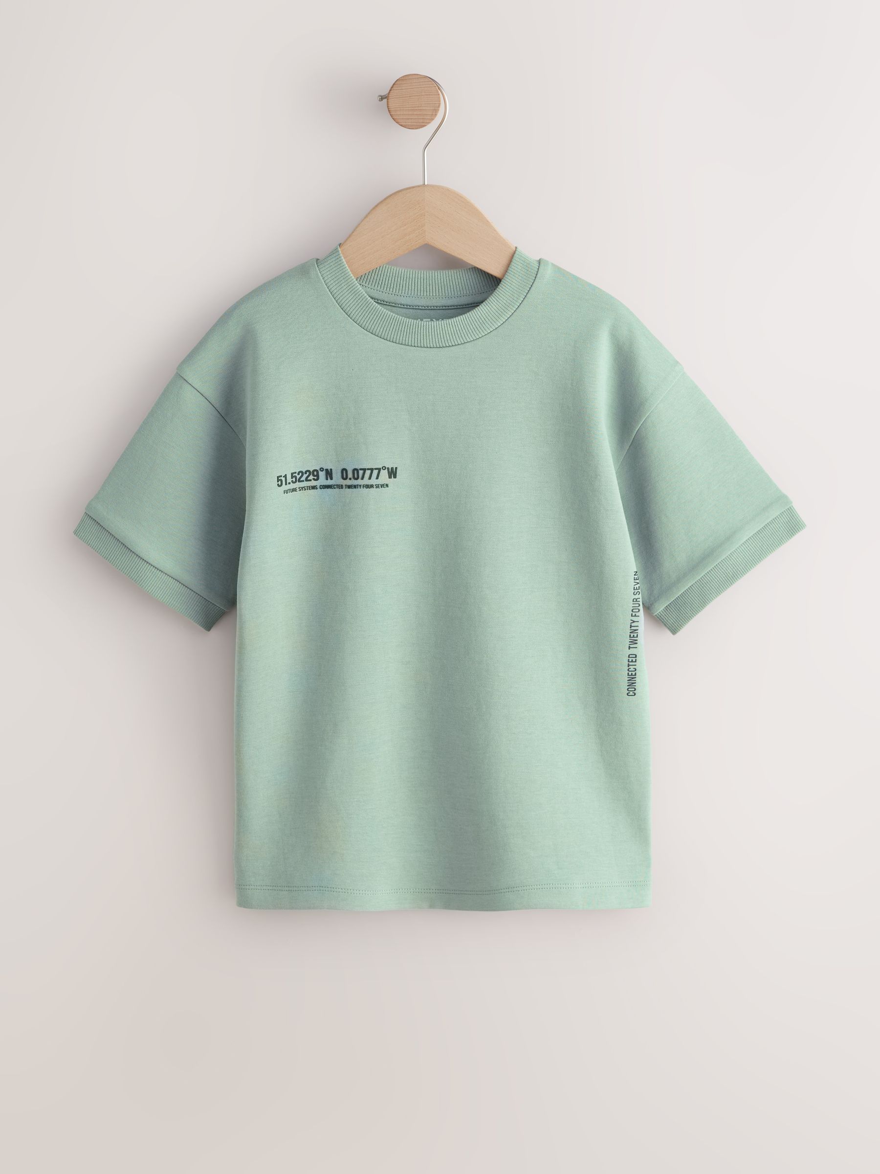 Buy Mint Green Graphic Heavyweight Short Sleeve T-Shirt (3-16yrs) from ...