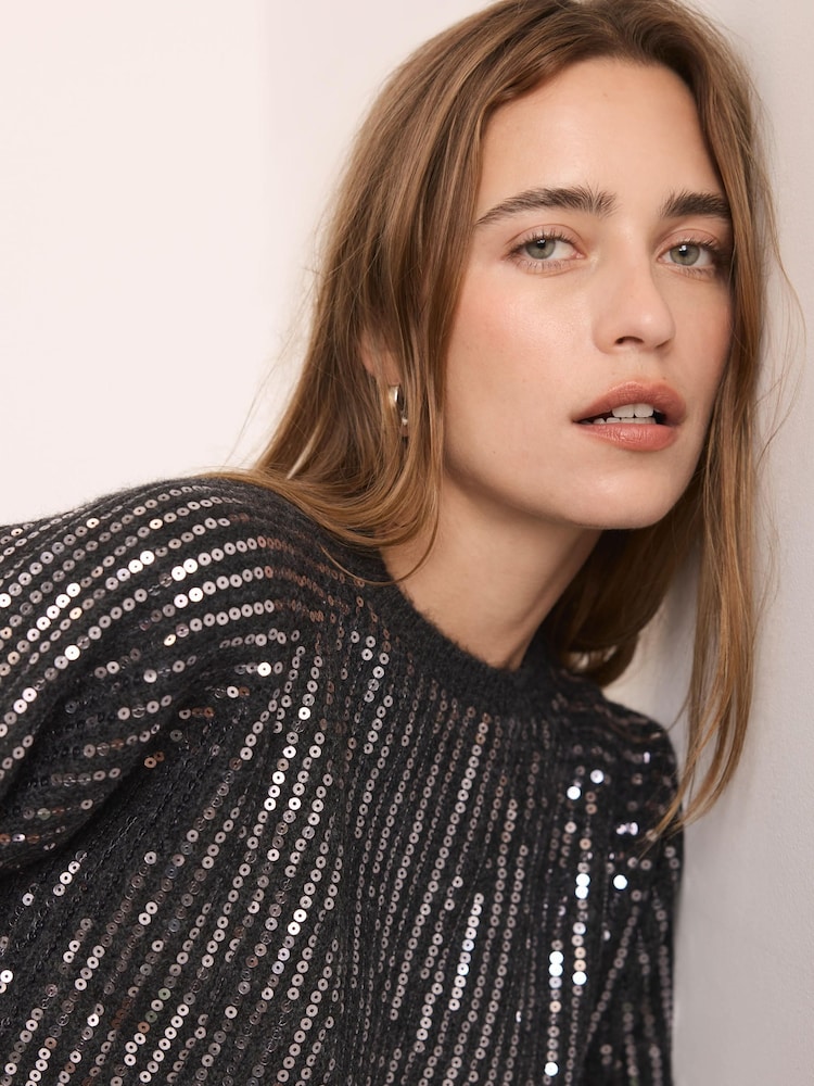 Buy Mint Velvet Grey Sequin Knit Jumper from Next Czech Republic