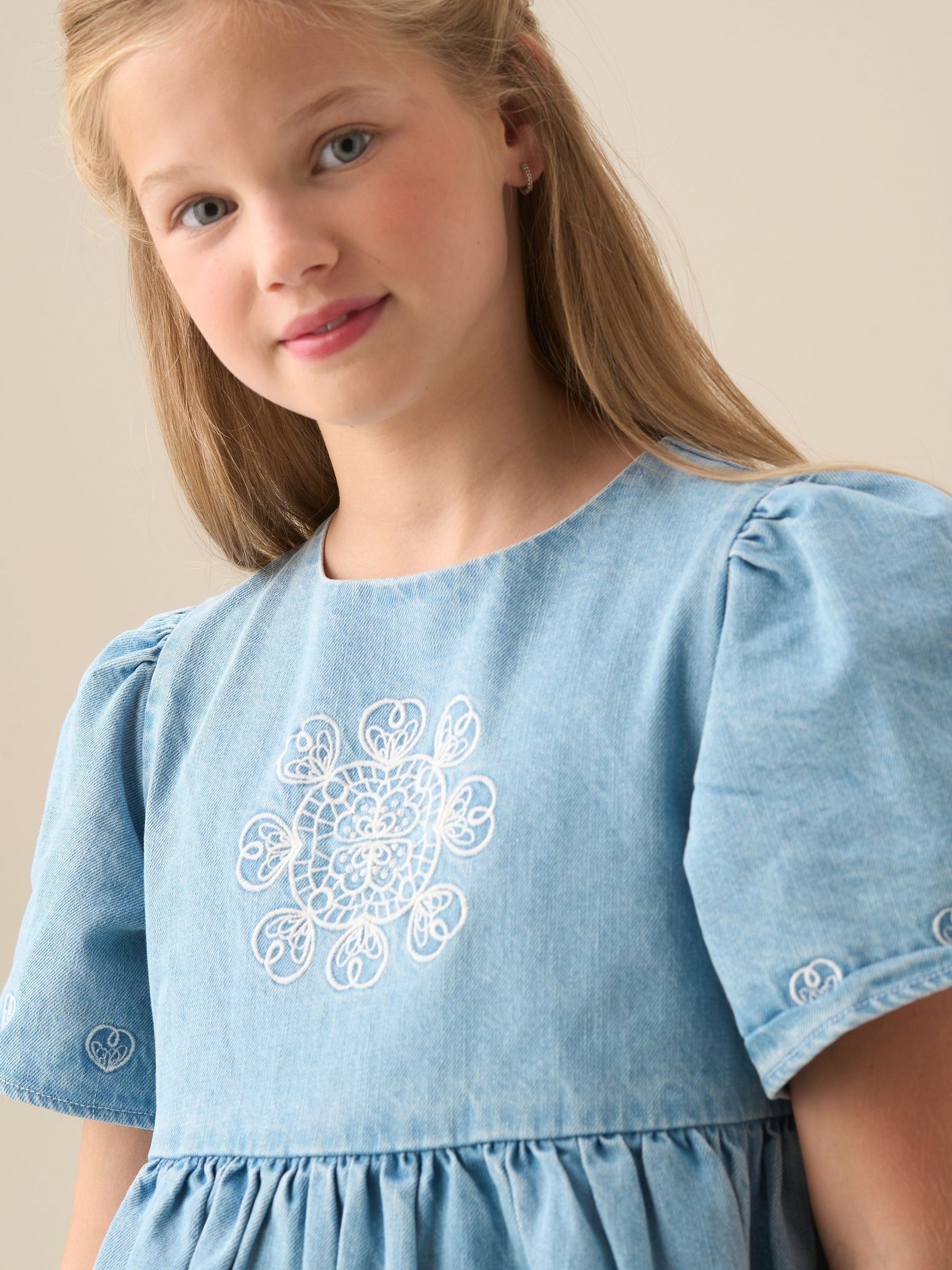 Buy Angel & Rocket Blue Reyna Ivory Embroidered Swing Dress from Next ...