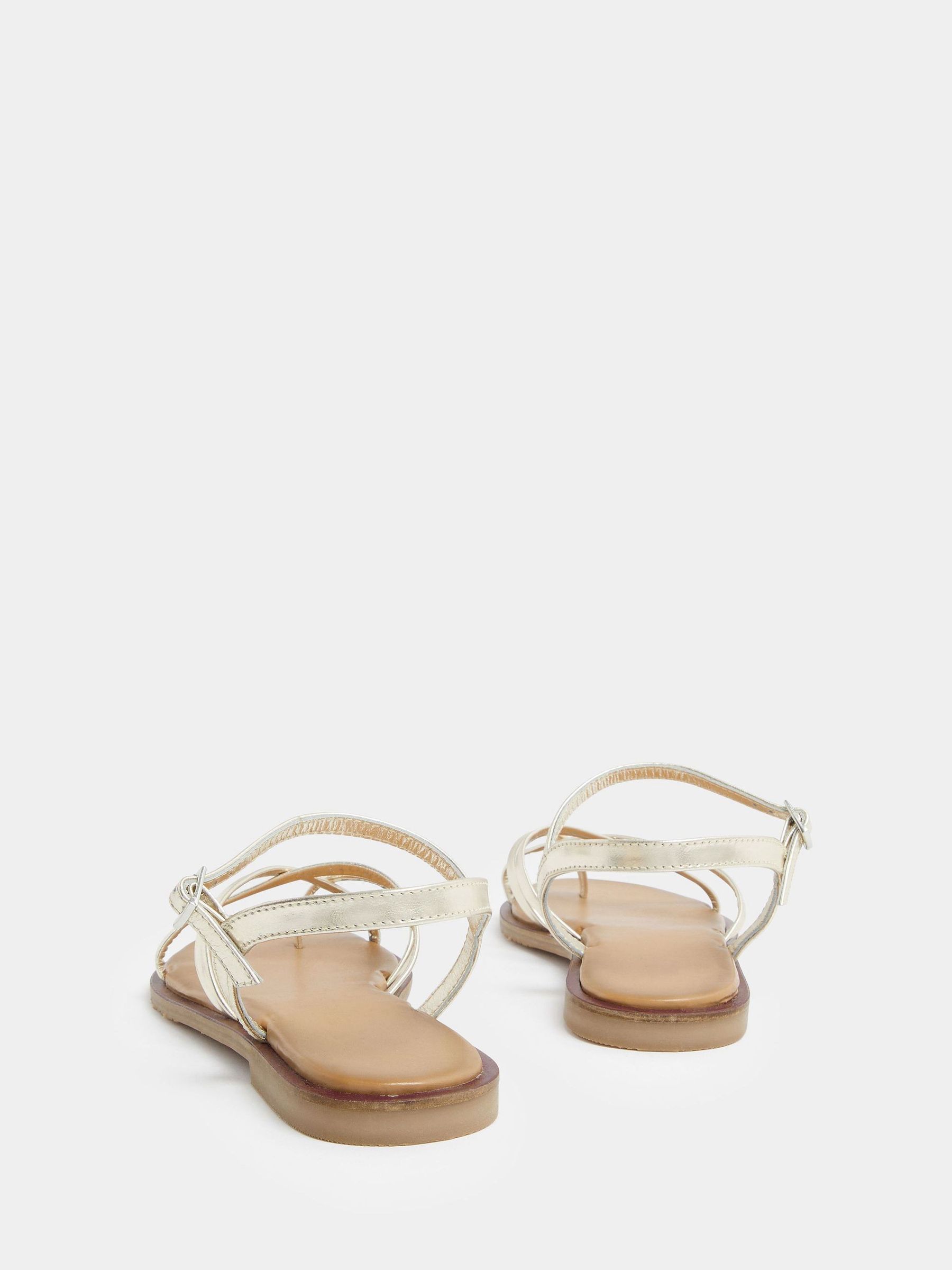 Buy Long Tall Sally Gold Skinny Strap Toe Loop Sandals from the Next UK ...