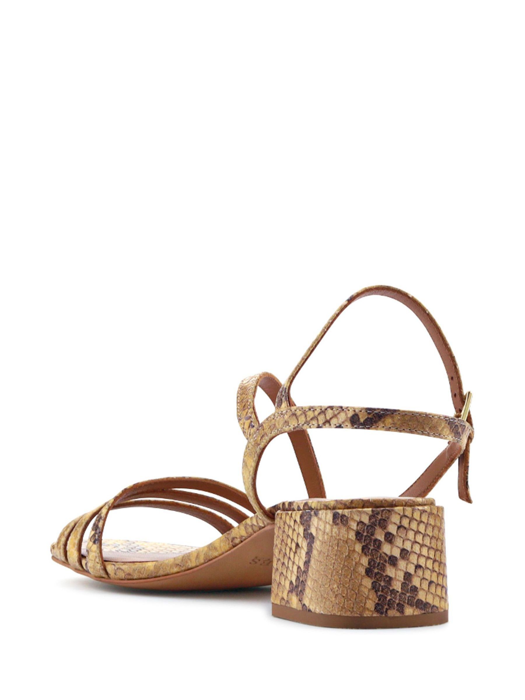 Buy Jones Bootmaker Snake Print Standard Fit Ginette Leather Sandals ...