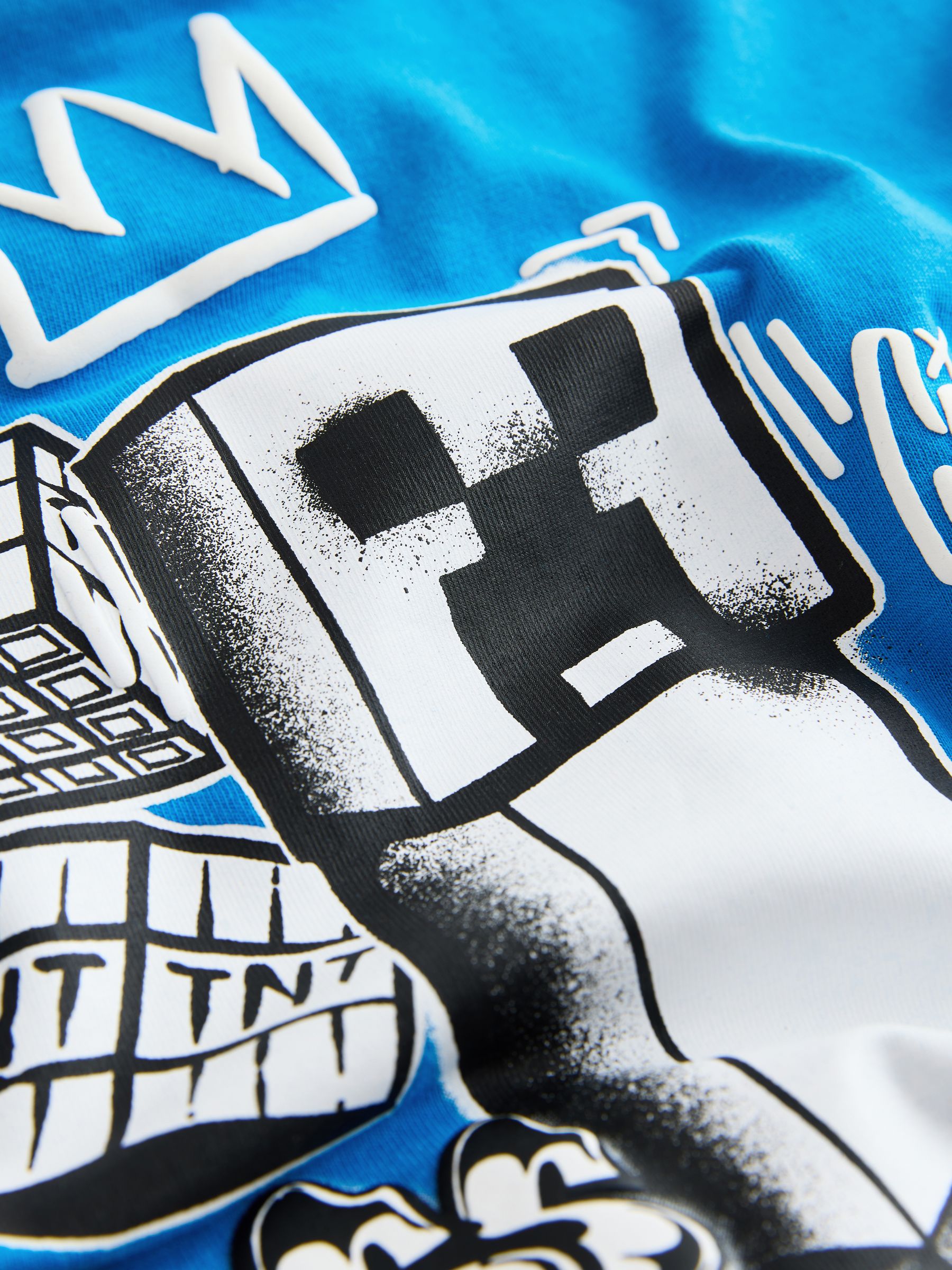 Buy Blue Back Print Single Minecraft T-Shirt (3-16yrs) from the Next UK ...