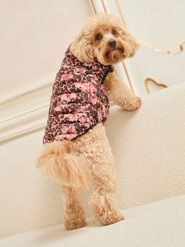 leopard print dog jacket